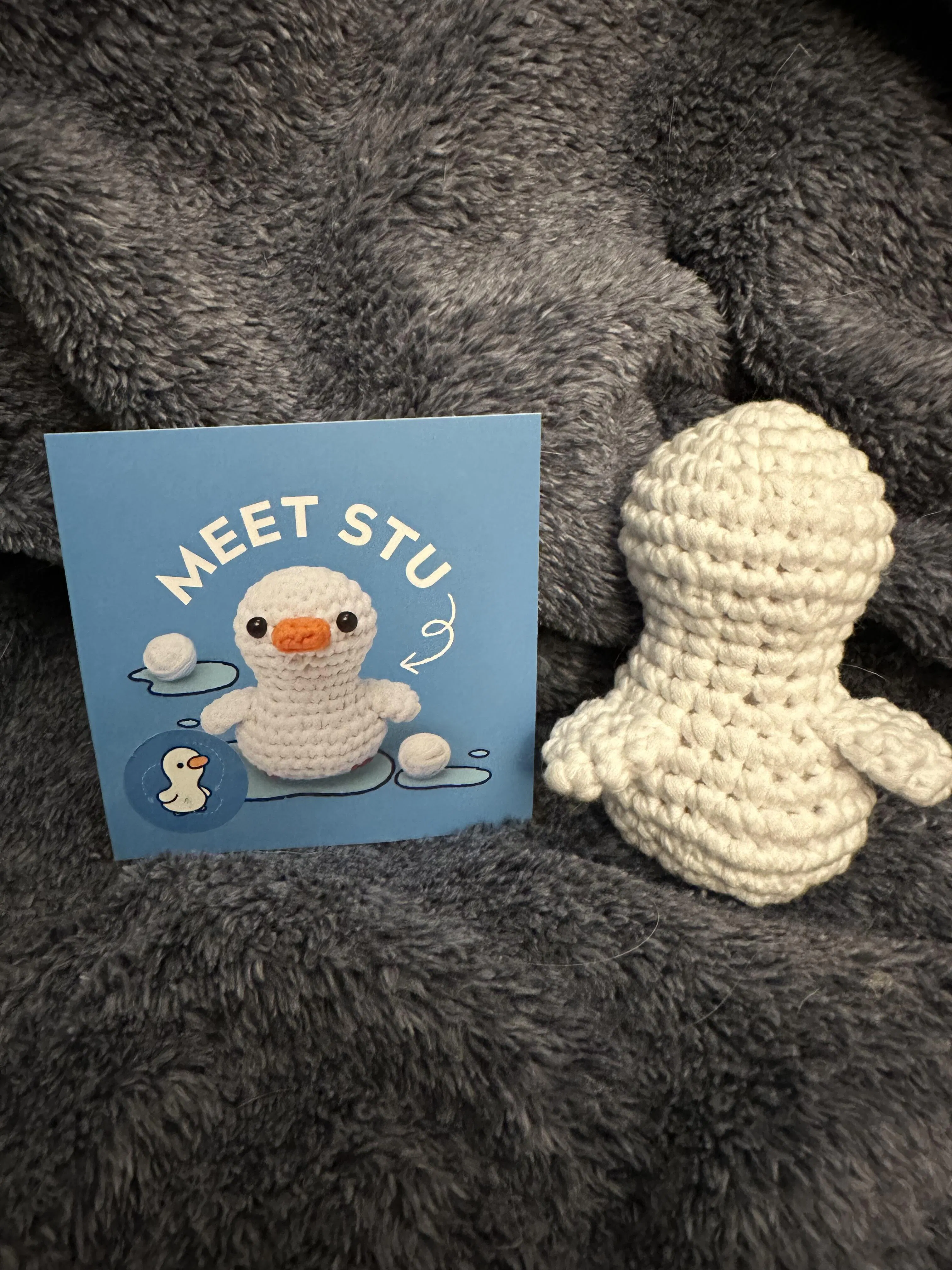 Goose Crochet Kit | The Woobles
