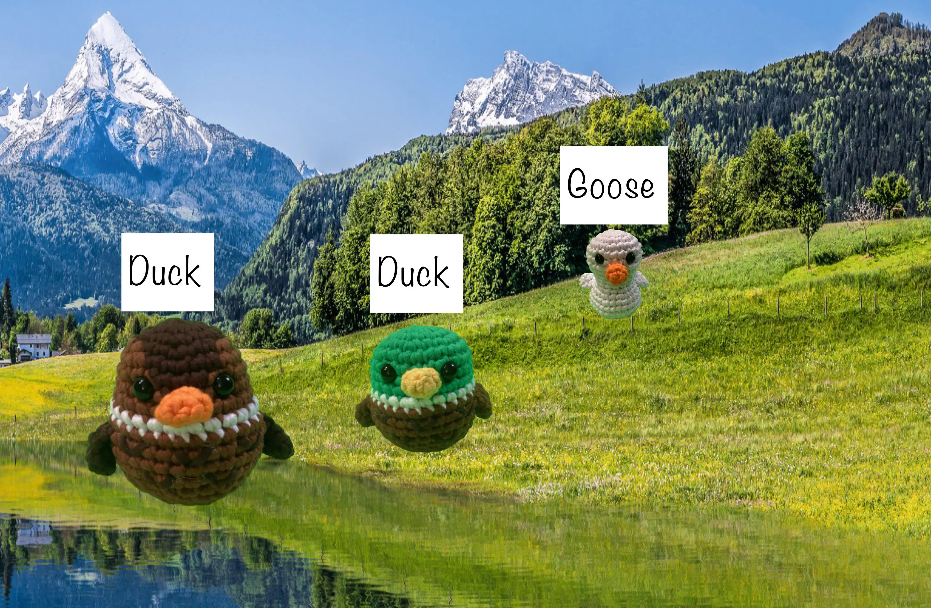 Duck, Duck, Goose Bundle | The Woobles