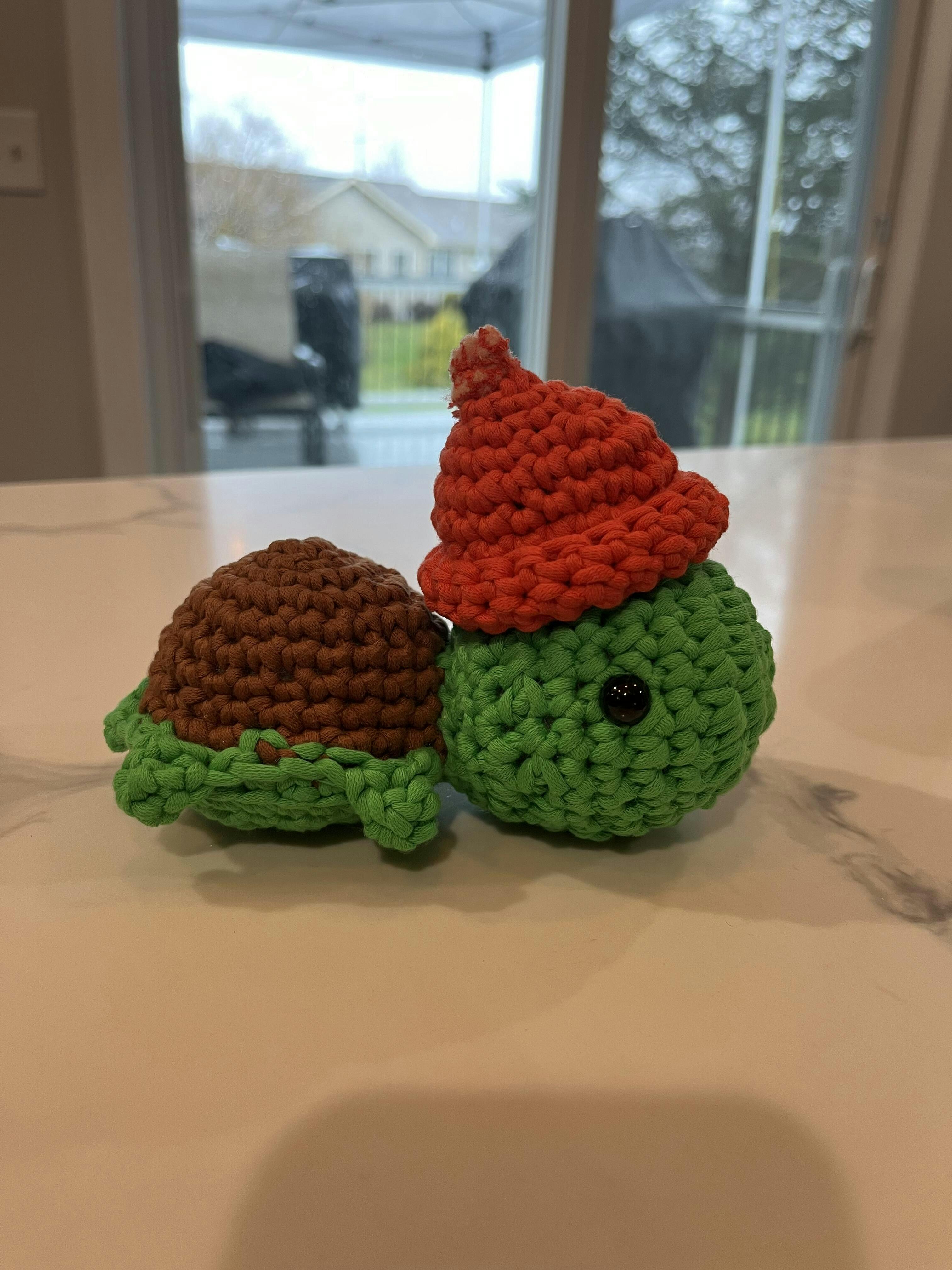 Turtle Crochet Kit | The Woobles