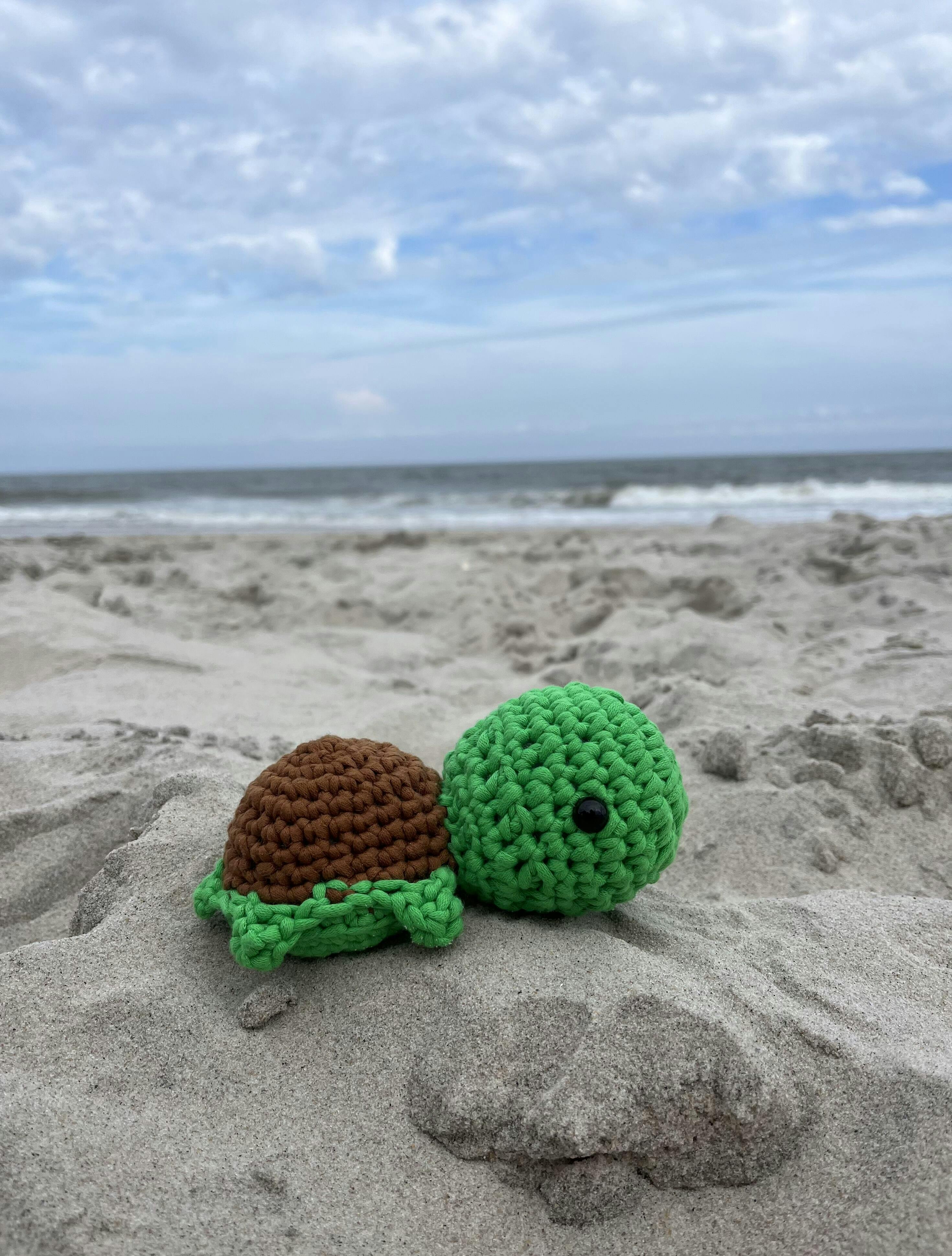 Turtle Crochet Kit | The Woobles