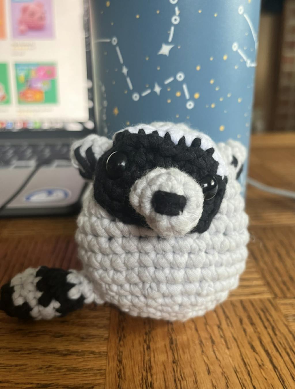 Raccoon Crochet Kit for Beginners | The Woobles