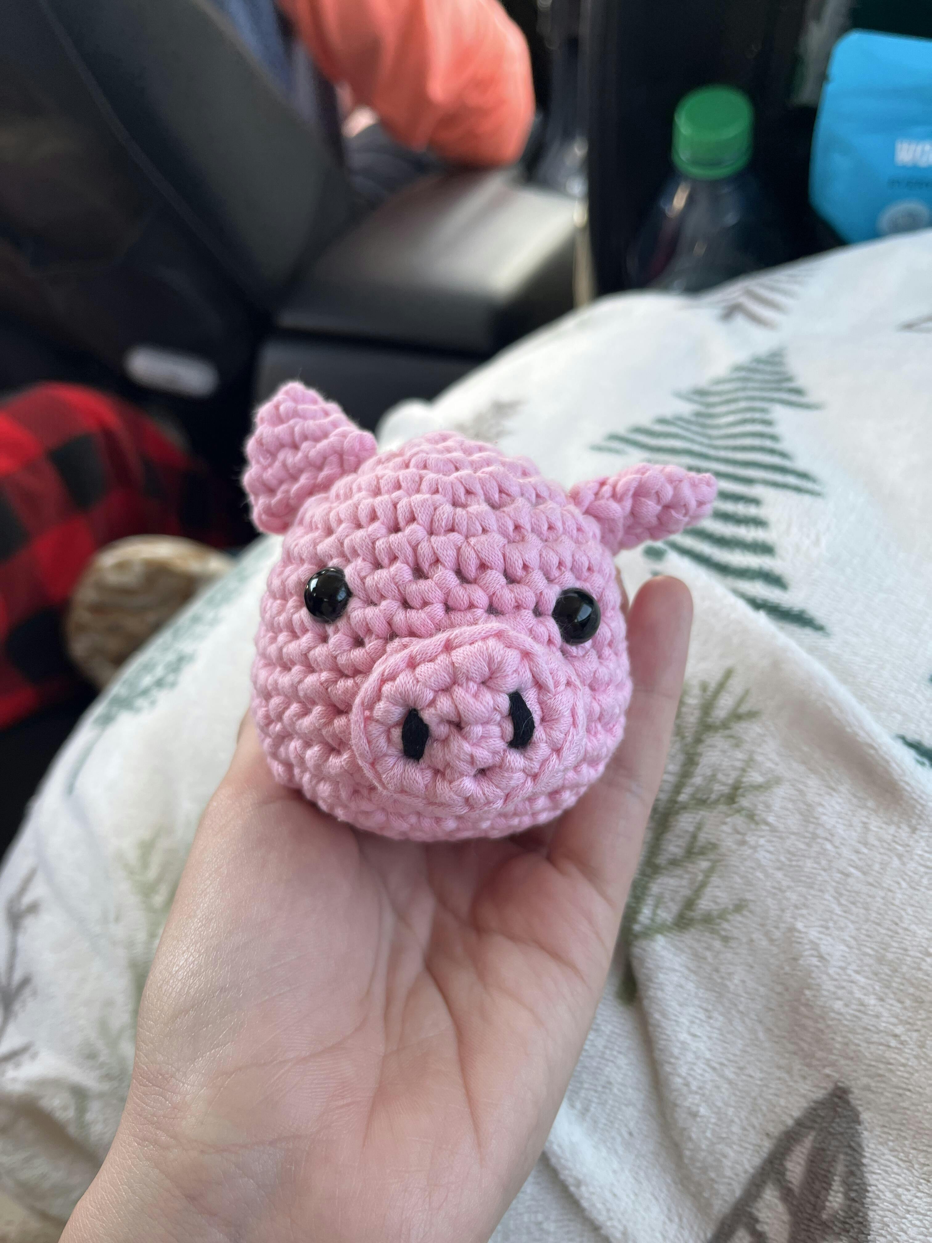 Pig Crochet Kit for Beginners | The Woobles