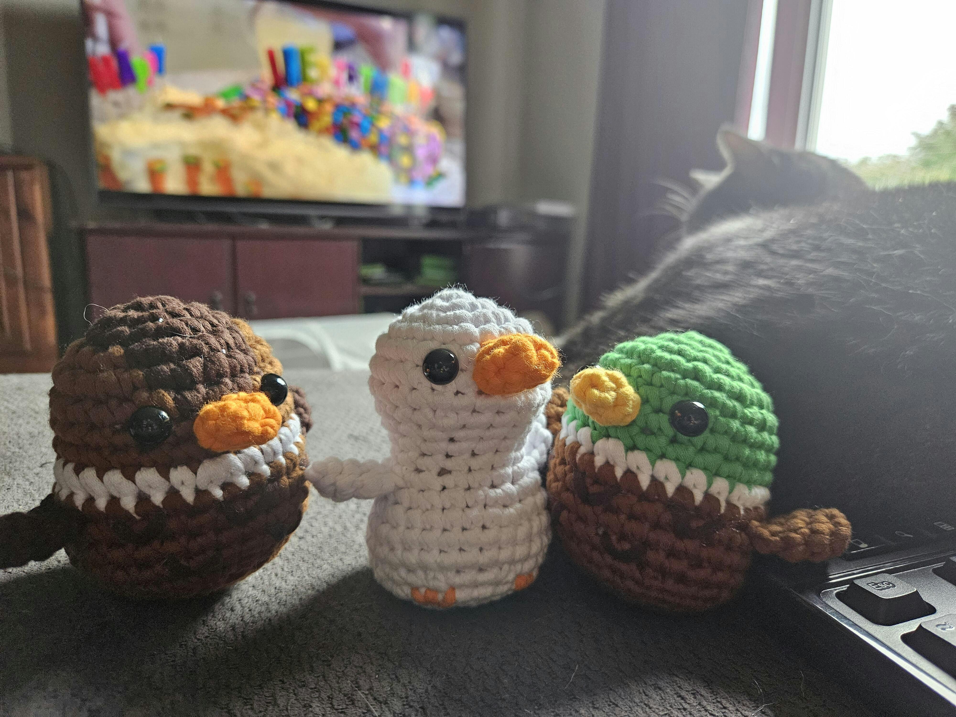 Duck, Duck, Goose Bundle | The Woobles