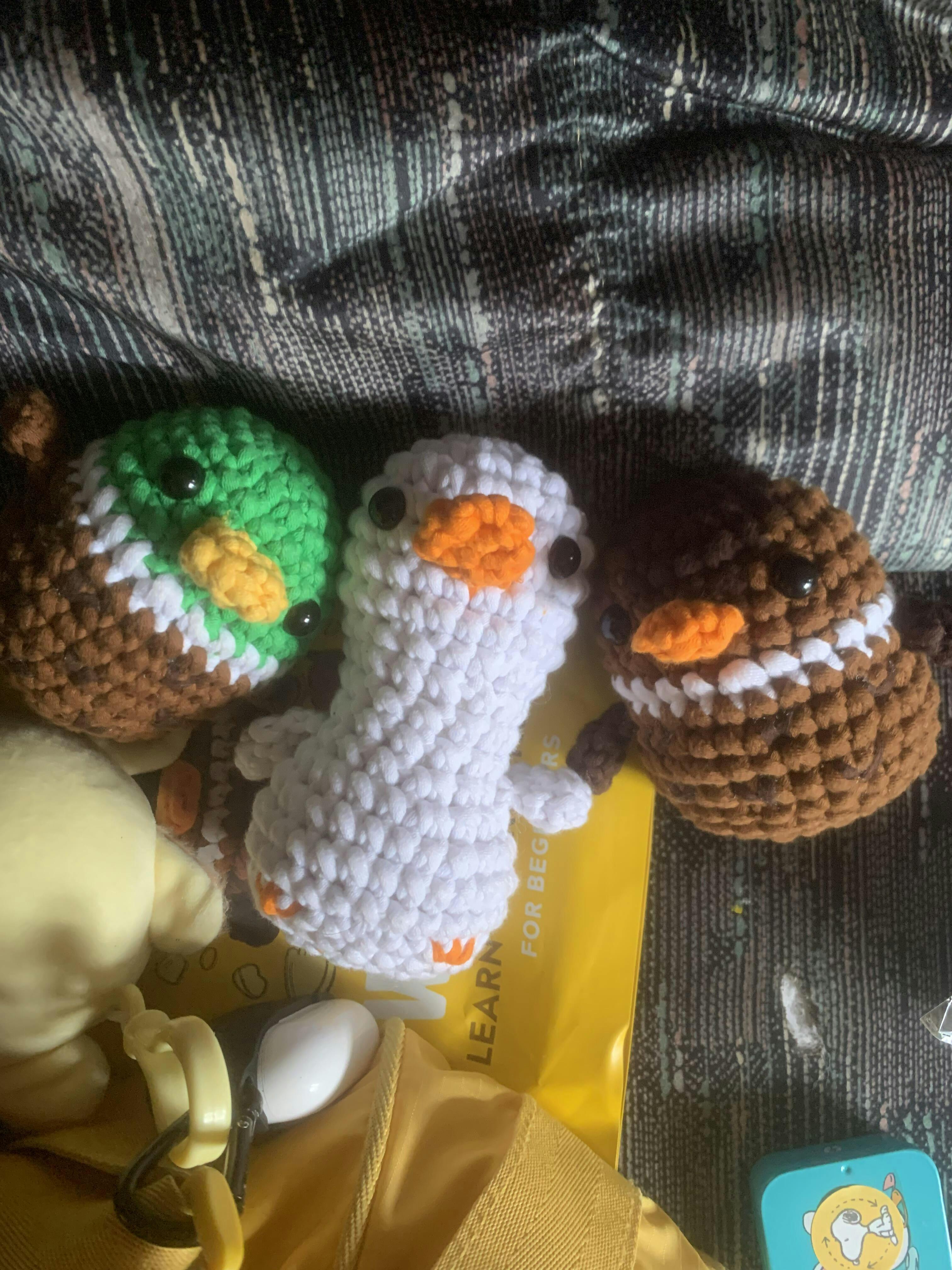 Duck, Duck, Goose Bundle | The Woobles