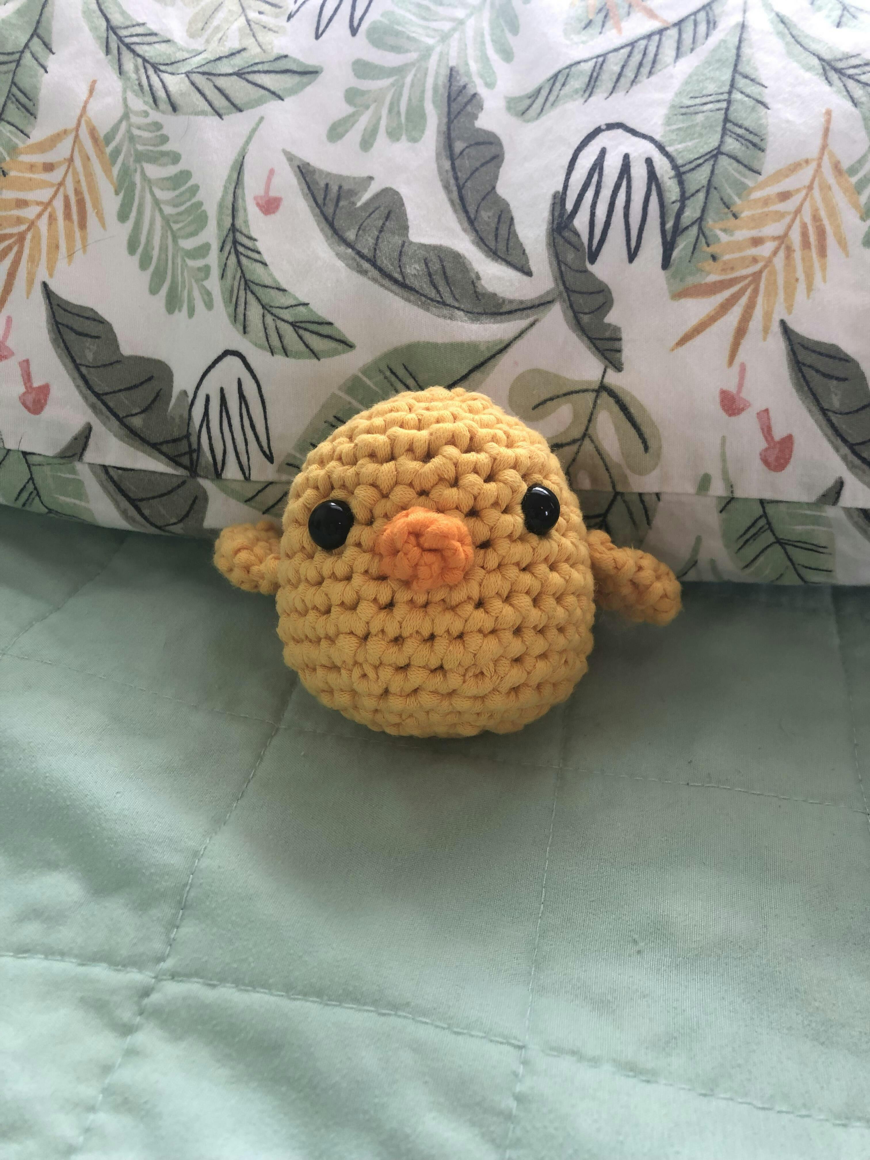 Chick Crochet Kit for Beginners | The Woobles