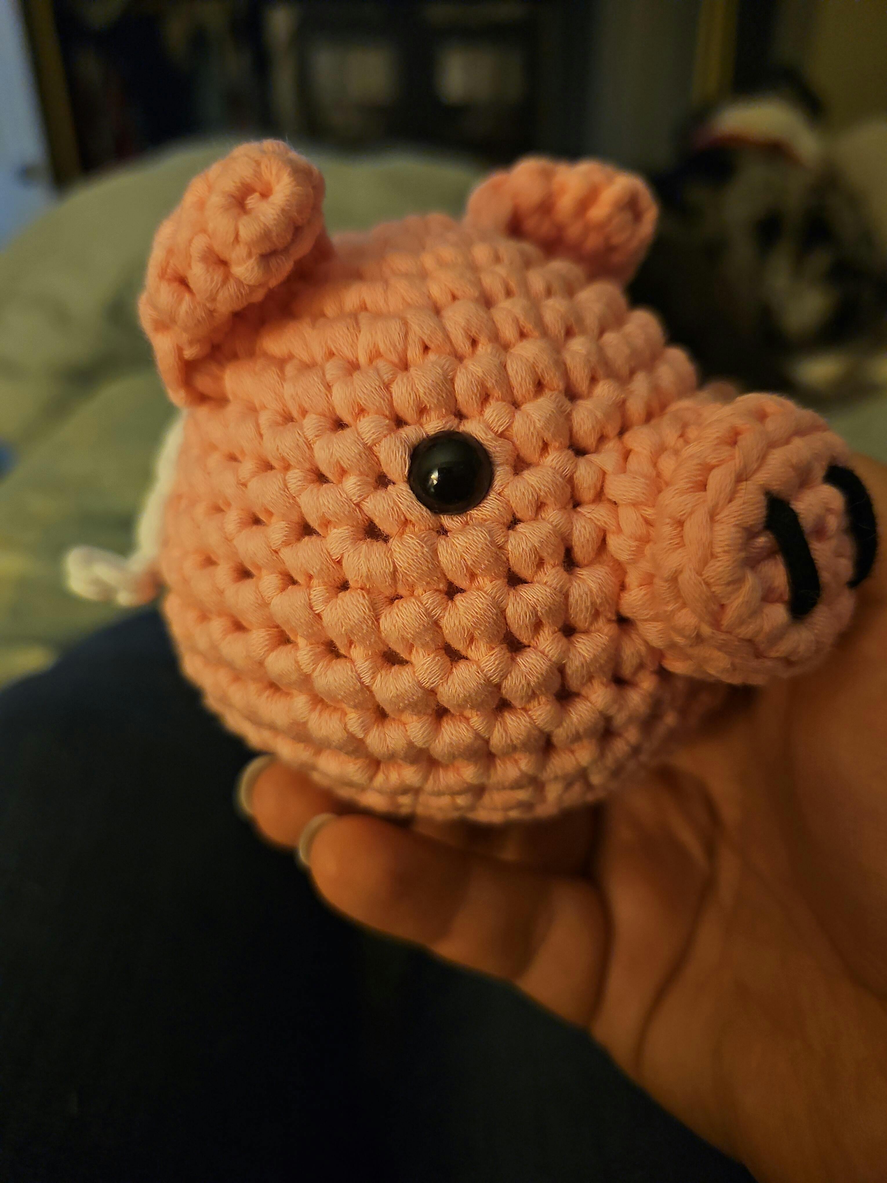 Pig Crochet Kit for Beginners | The Woobles