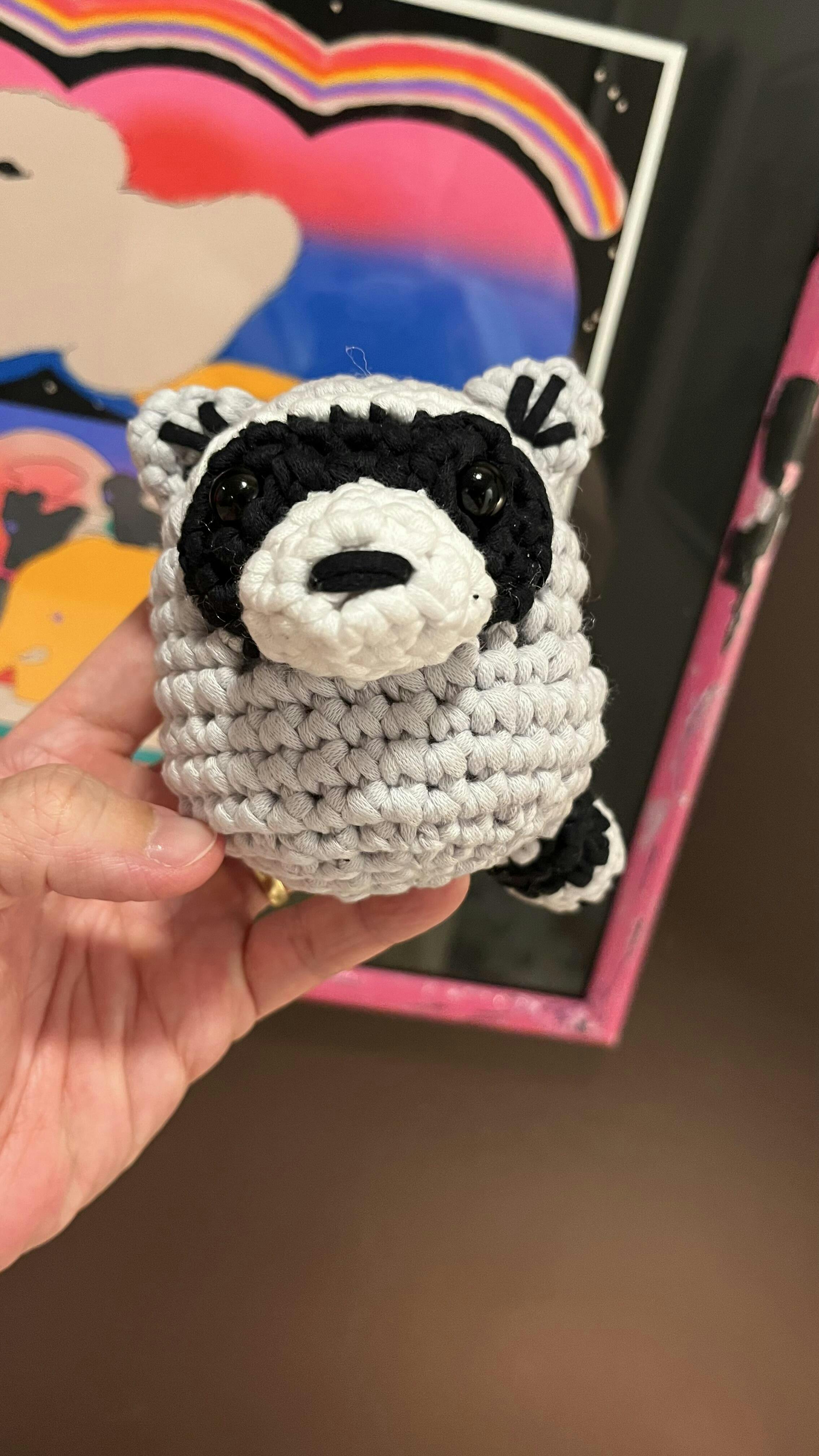 Raccoon Crochet Kit for Beginners | The Woobles