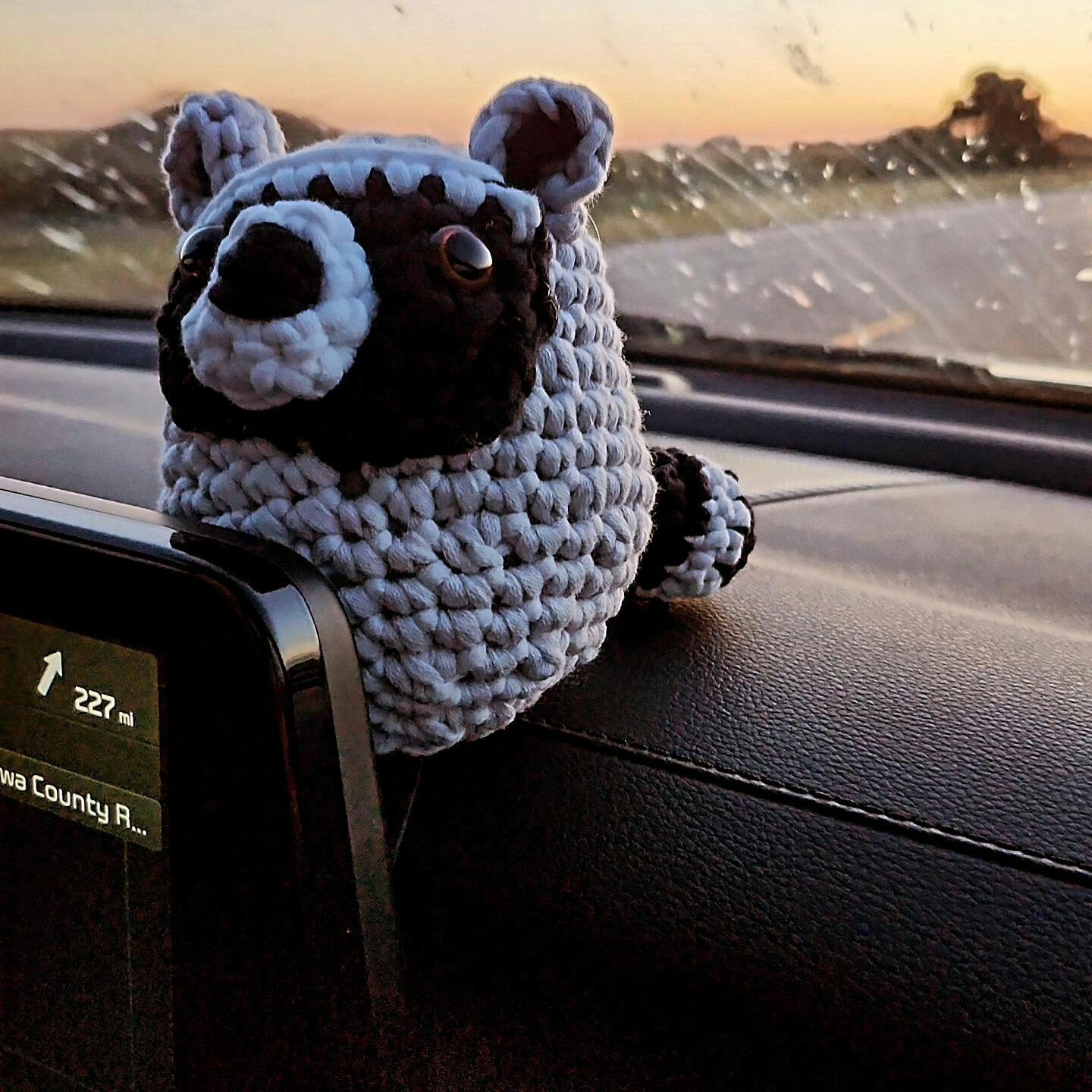 Raccoon Crochet Kit for Beginners | The Woobles