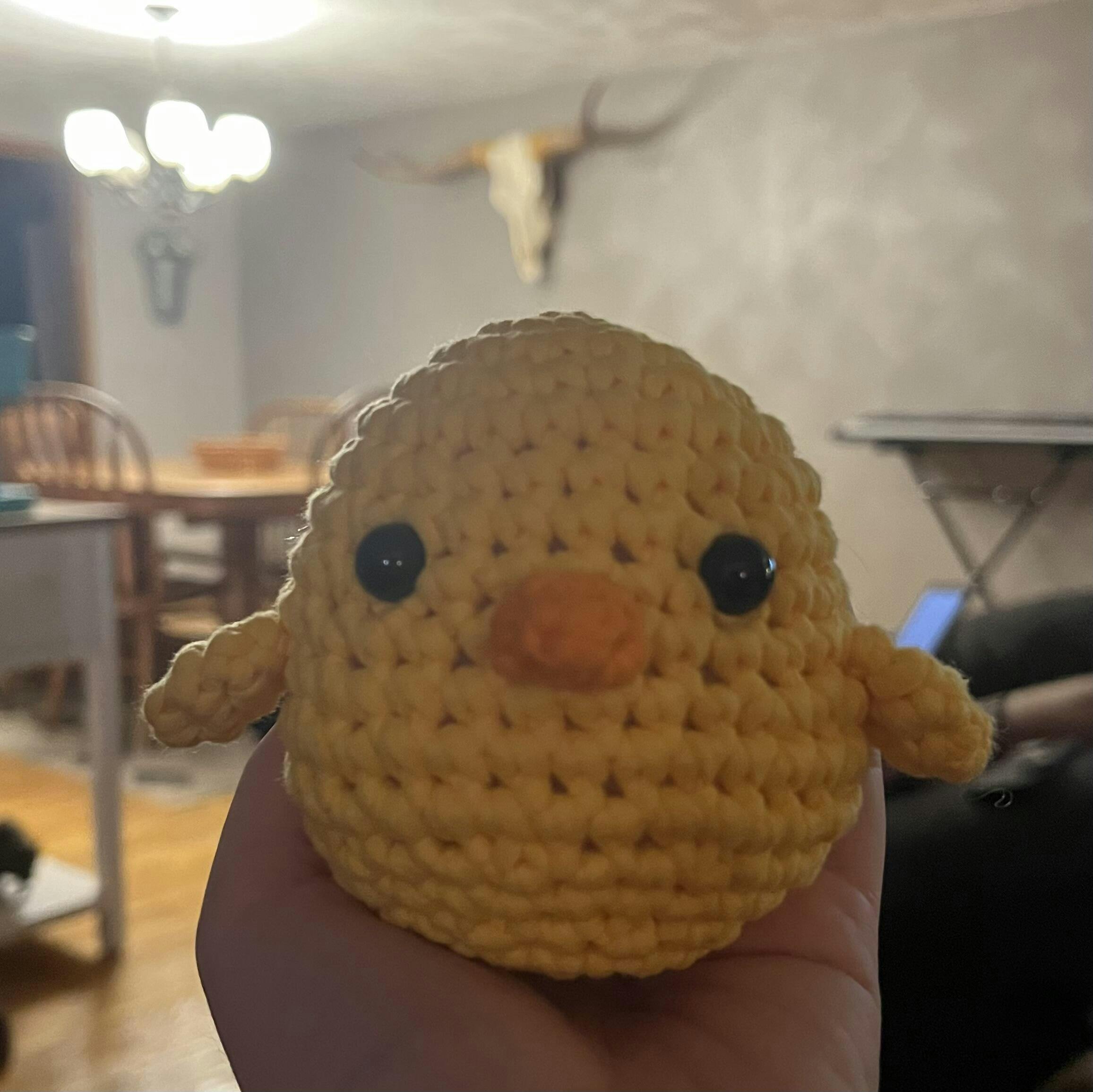 Chick Crochet Kit for Beginners | The Woobles