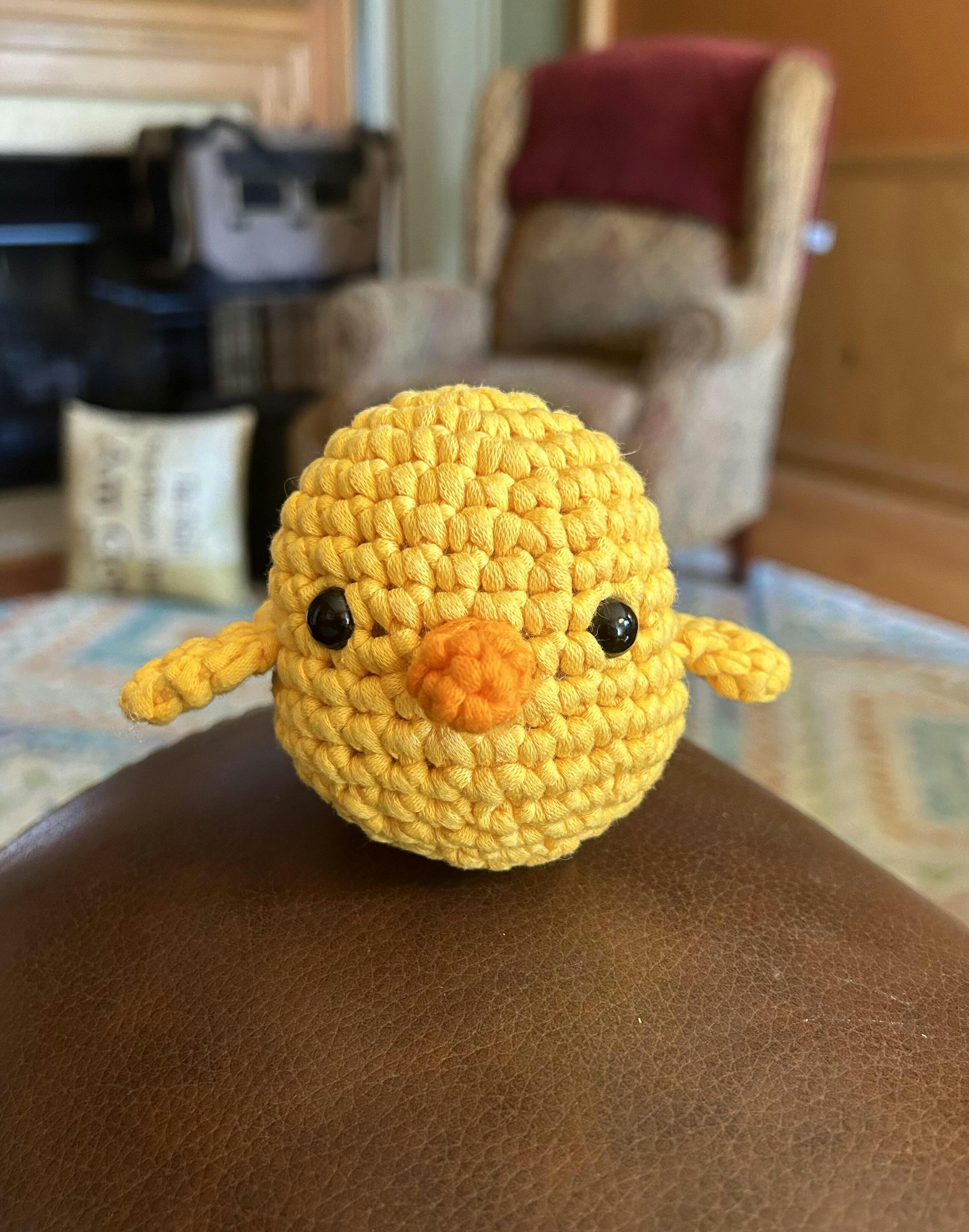 Chick Crochet Kit for Beginners | The Woobles