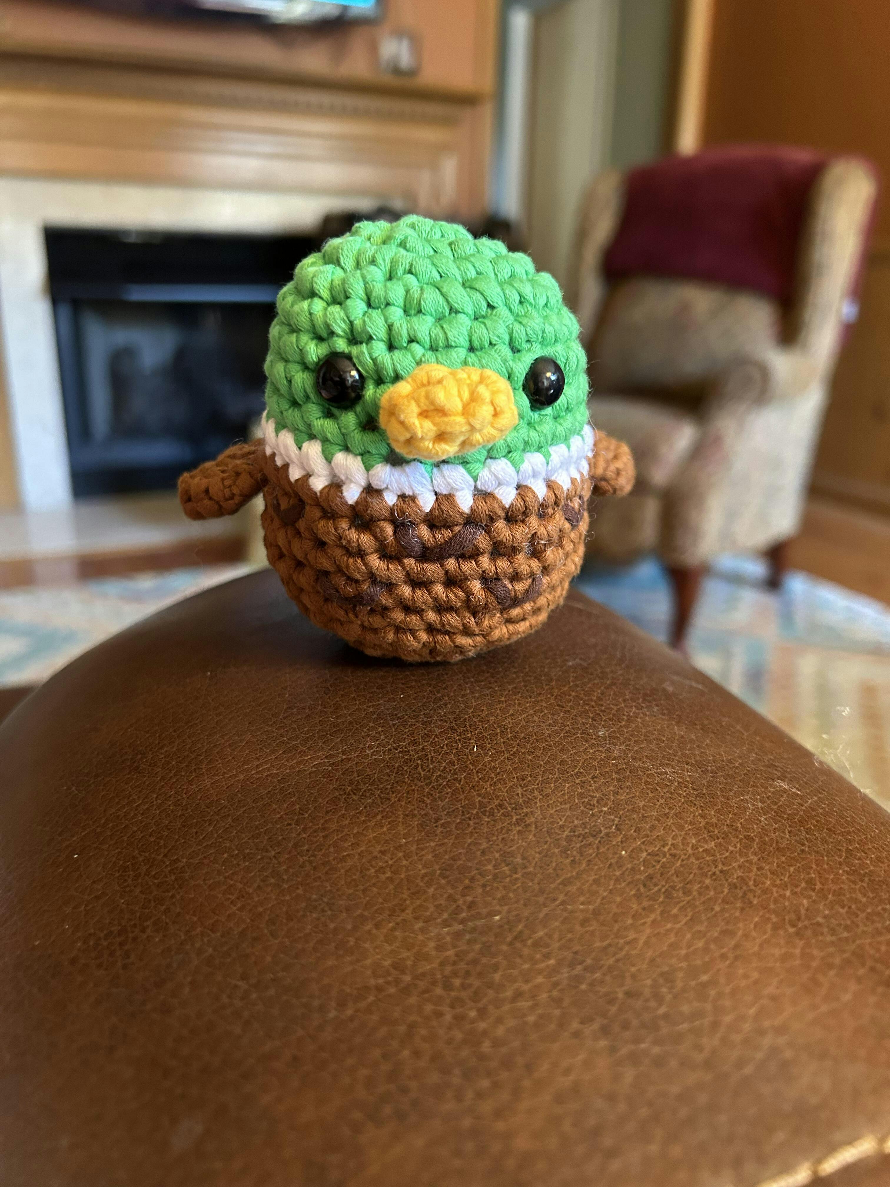 Chick Crochet Kit for Beginners | The Woobles