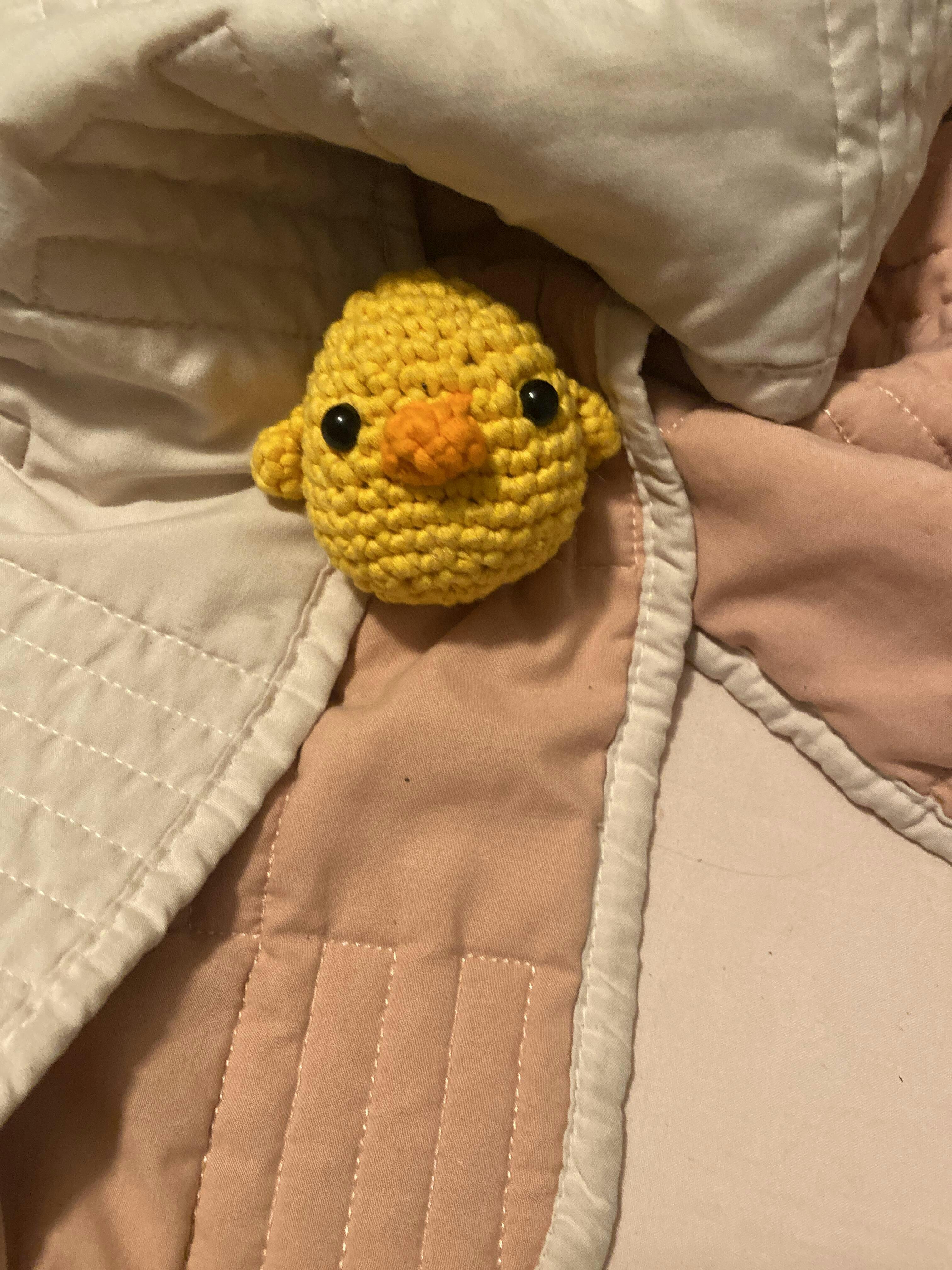 Chick Crochet Kit for Beginners | The Woobles