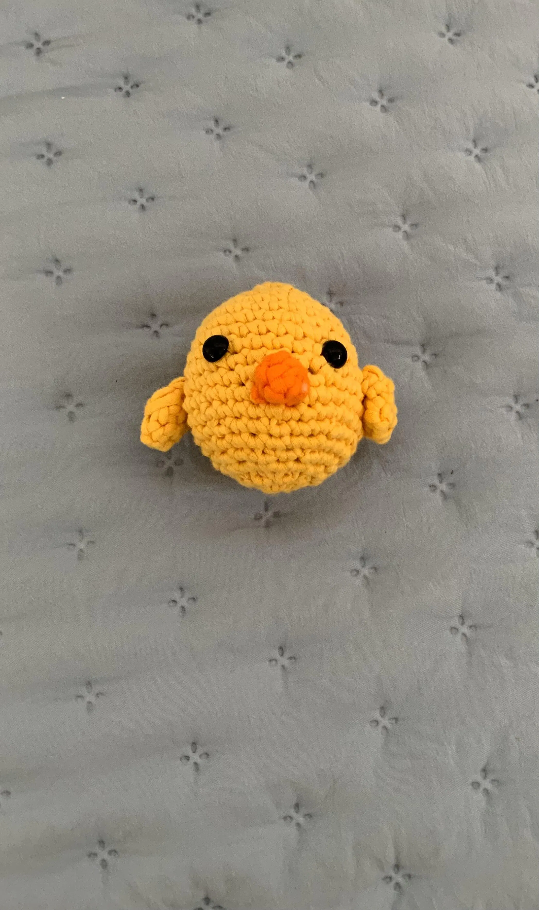 Chick Crochet Kit for Beginners | The Woobles