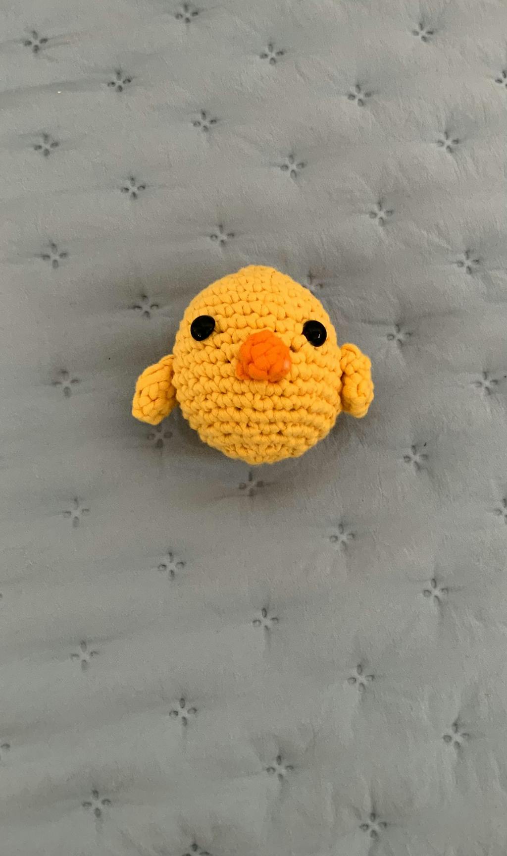 Chick Crochet Kit for Beginners | The Woobles