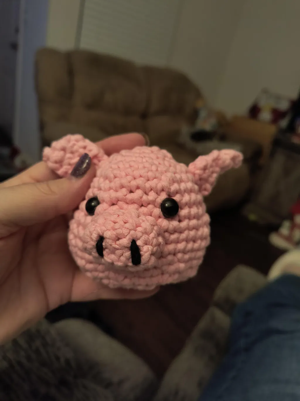 Pig Crochet Kit for Beginners | The Woobles