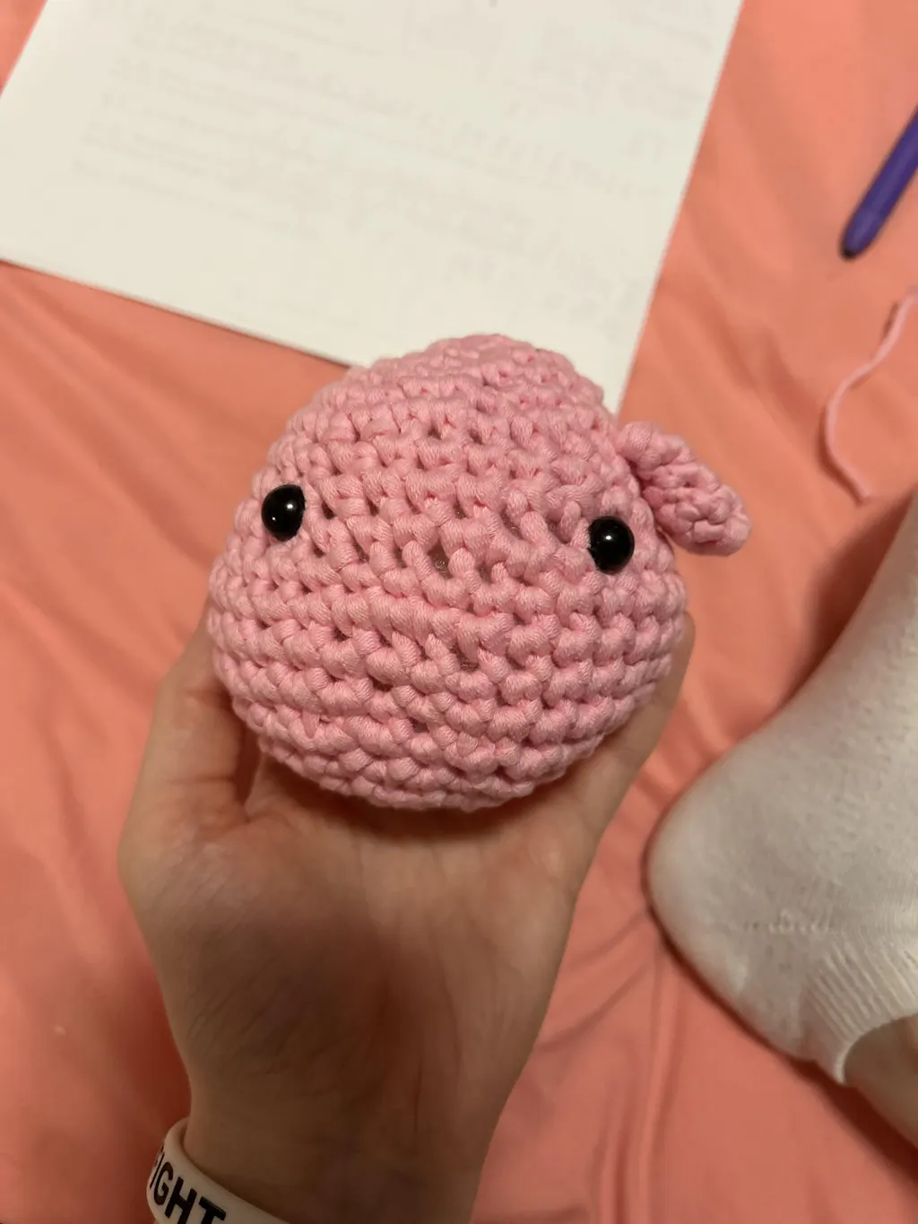 Pig Crochet Kit for Beginners | The Woobles
