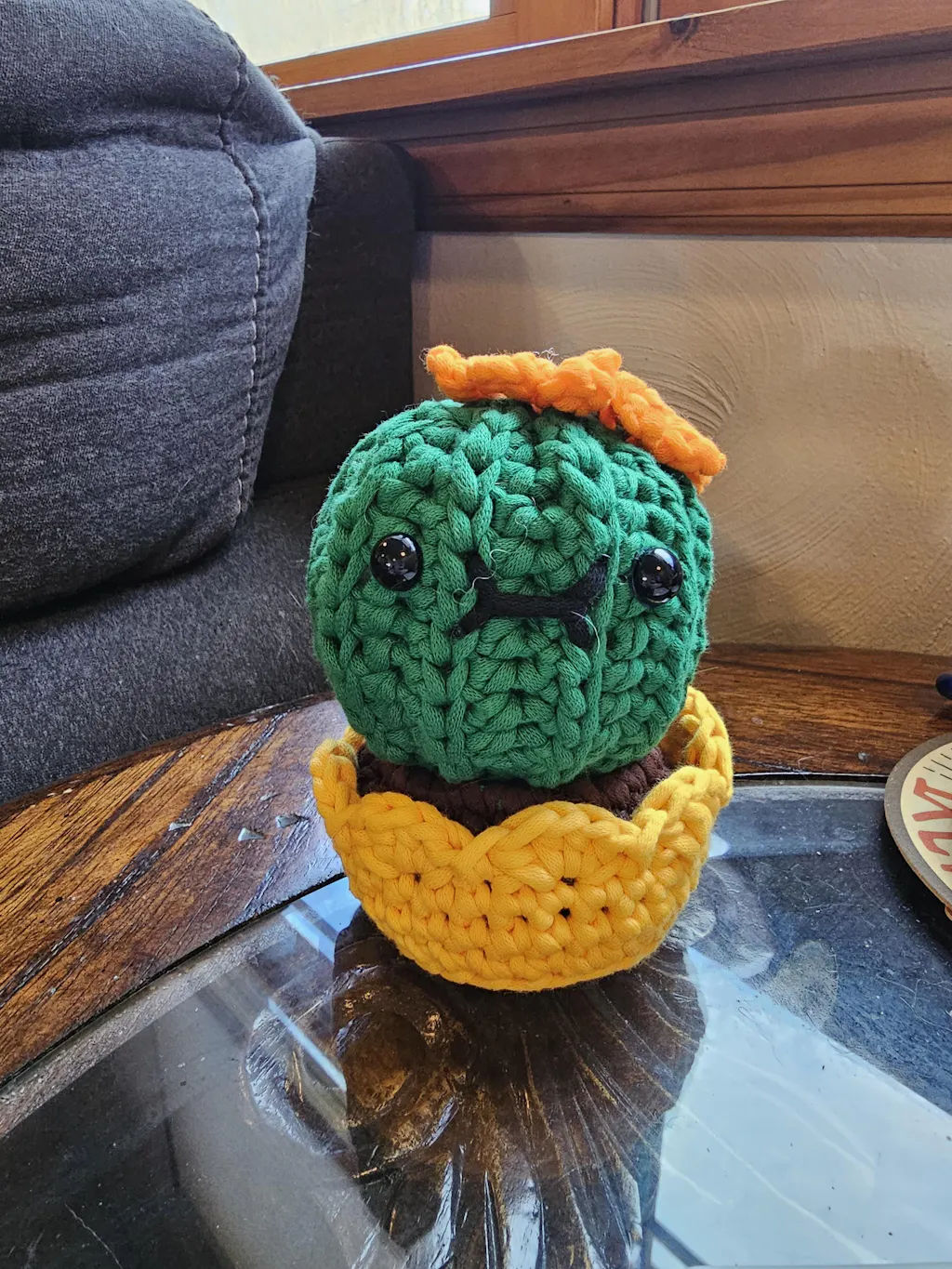 Barrel Cactus Crochet Kit | The Woobles