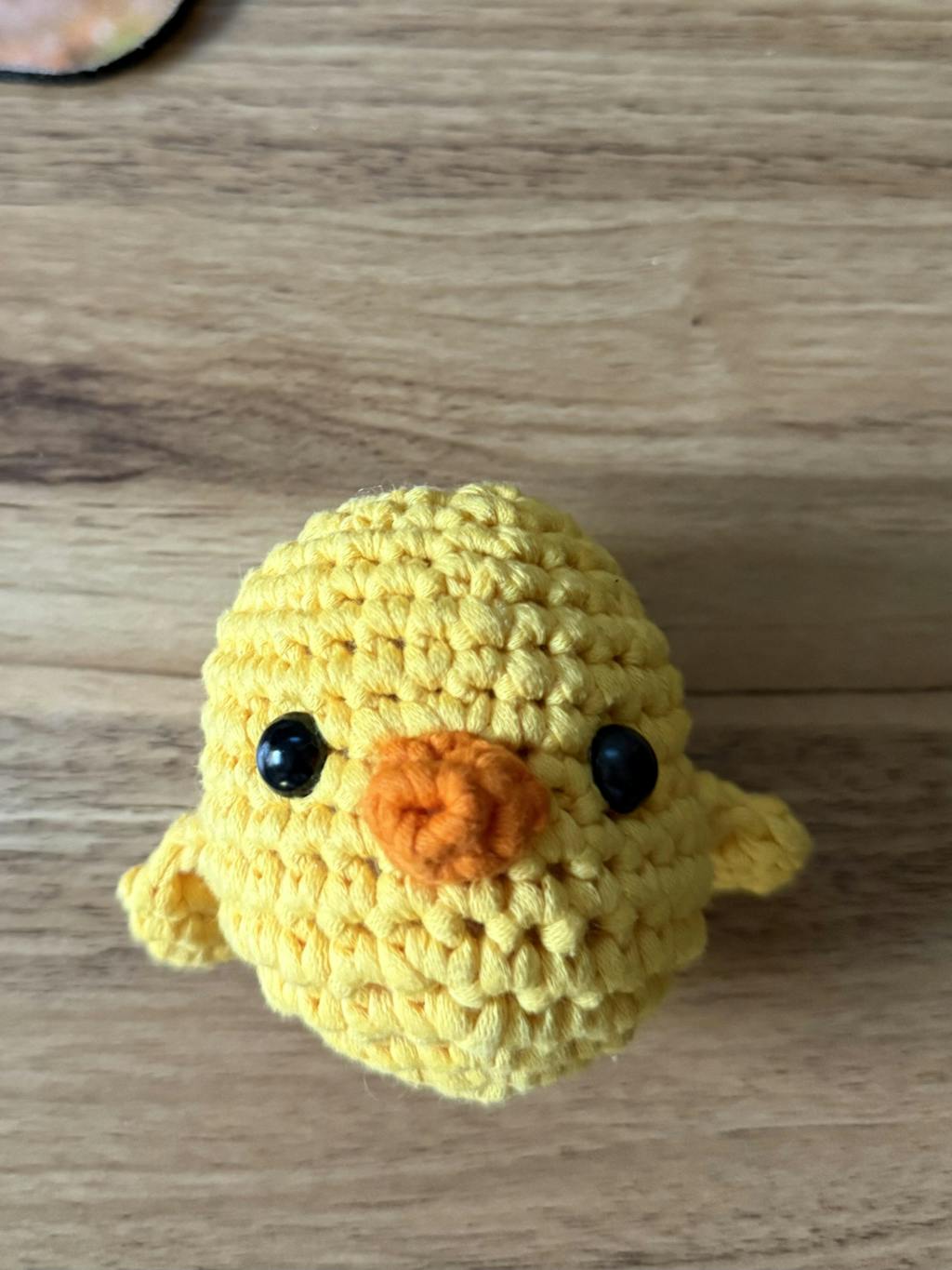 Chick Crochet Kit for Beginners | The Woobles