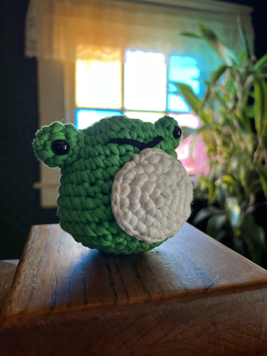 Frog Crochet Kit | Learn to Crochet with The Woobles