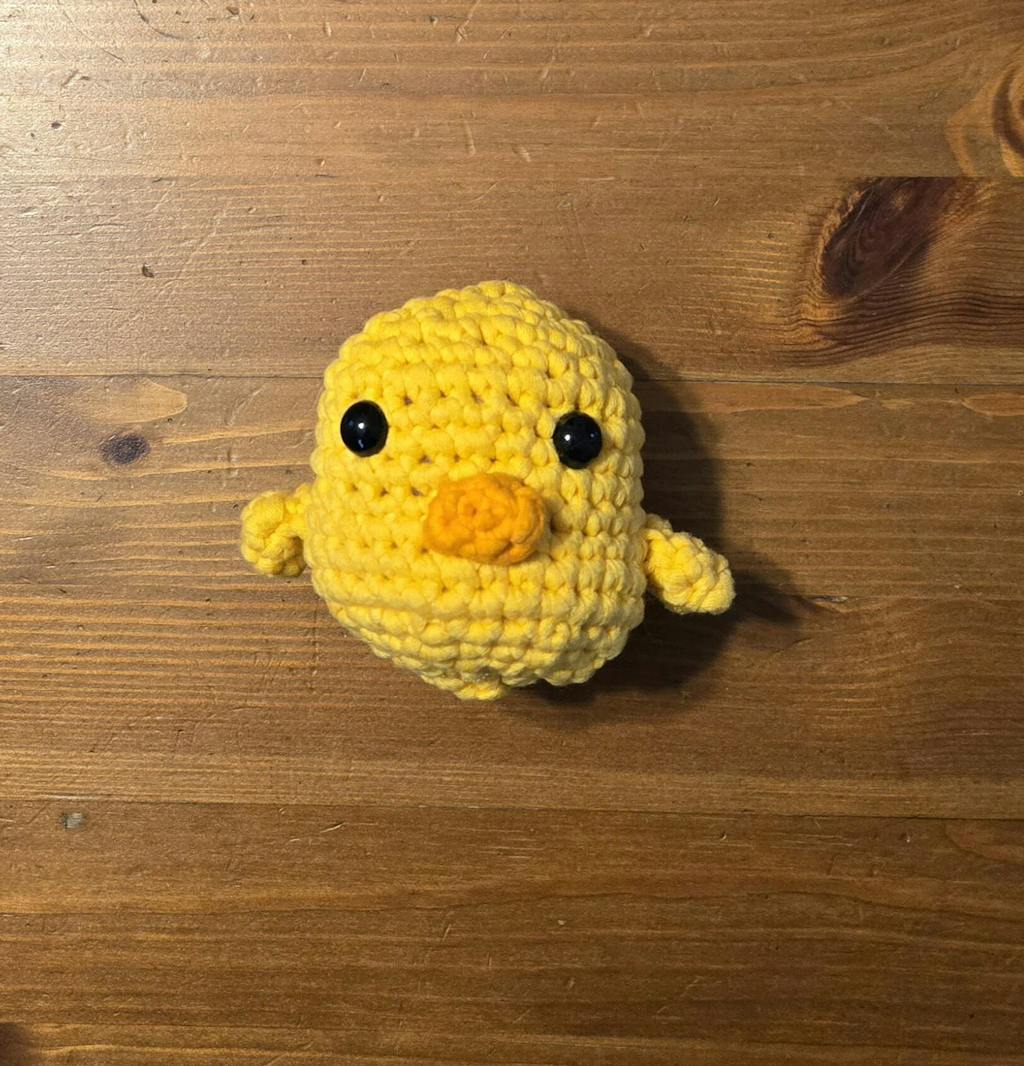 Chick Crochet Kit for Beginners | The Woobles