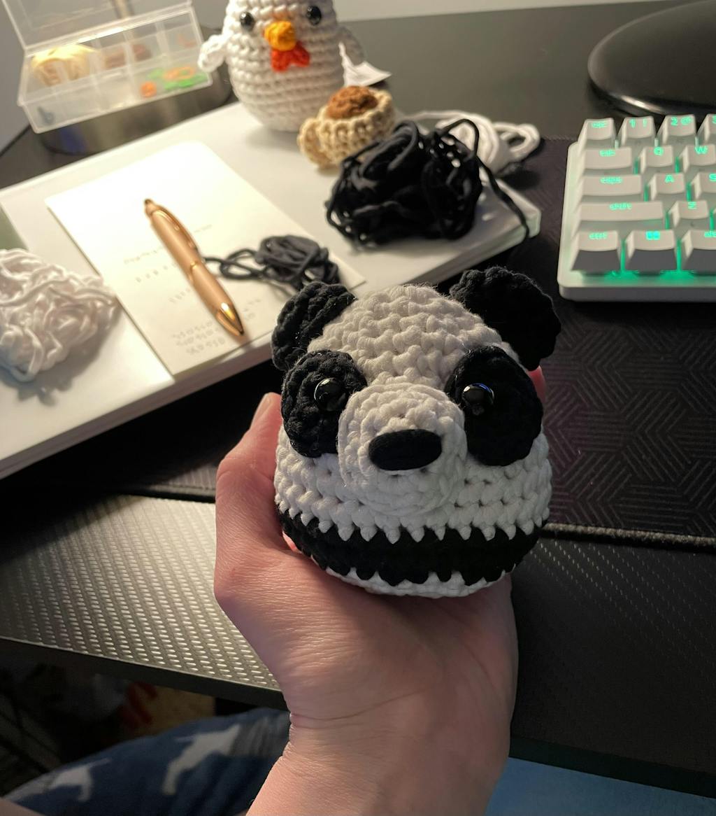 Panda Crochet Kit for Beginners | The Woobles