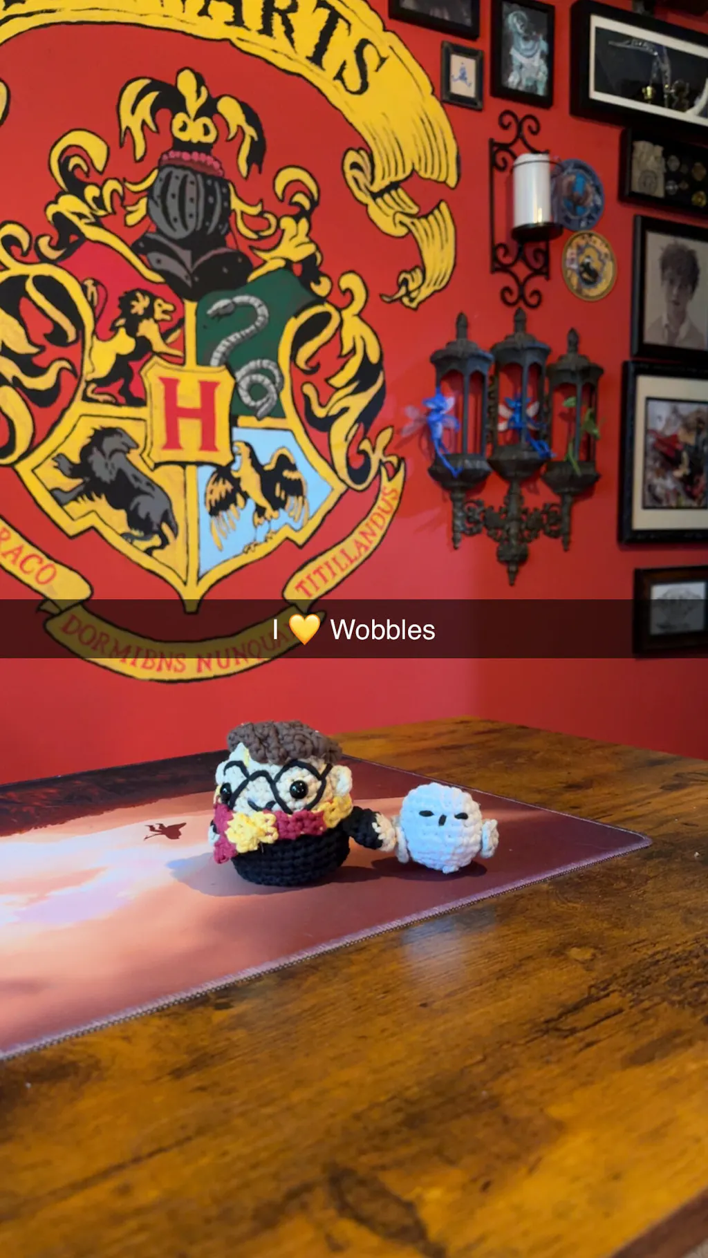 Harry Potter™ and Hedwig™ Bundle for Beginners | The Woobles
