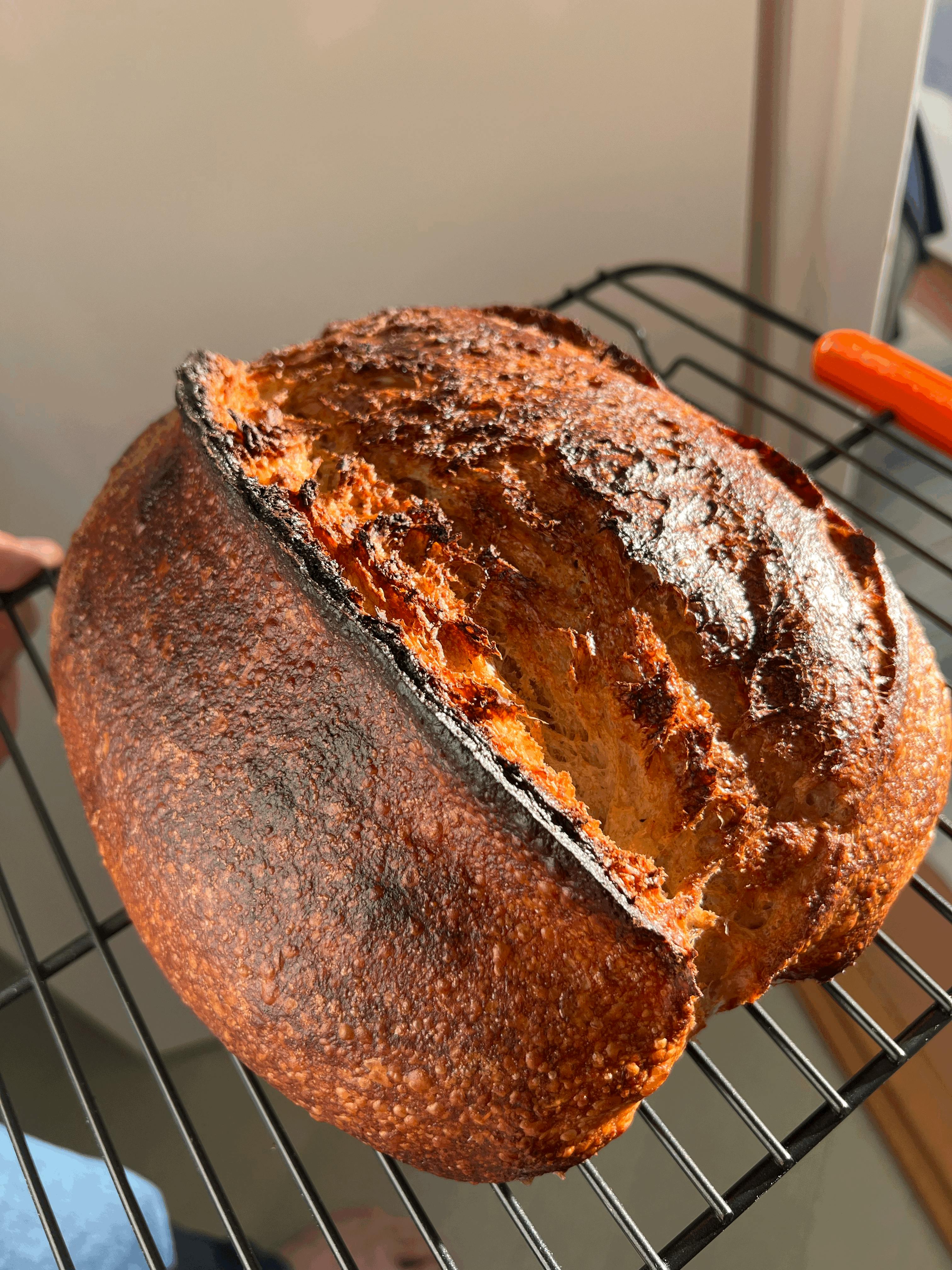 The Sourdough Framework (hardcover) – theBread.code();