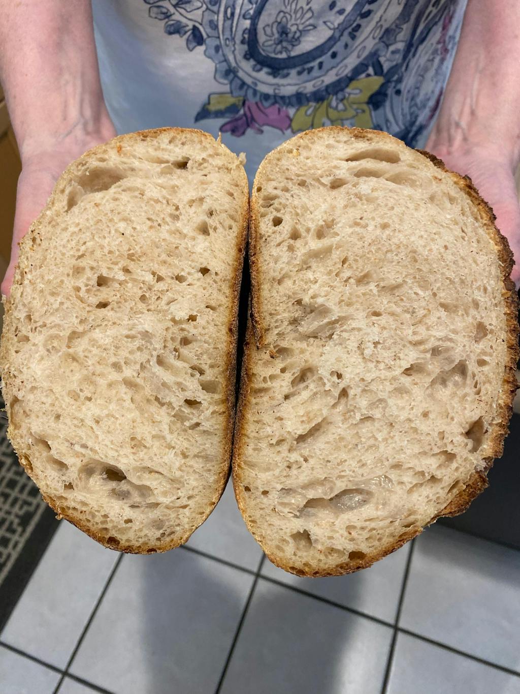 The Sourdough Framework (hardcover) – theBread.code();