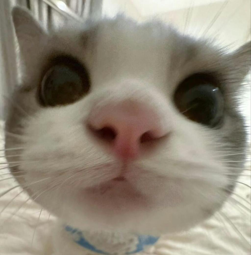 HuDong Light 3x3 Flagship (UV) – TheCubicle