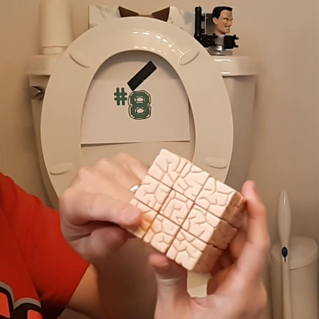 The Brain Cube – TheCubicle