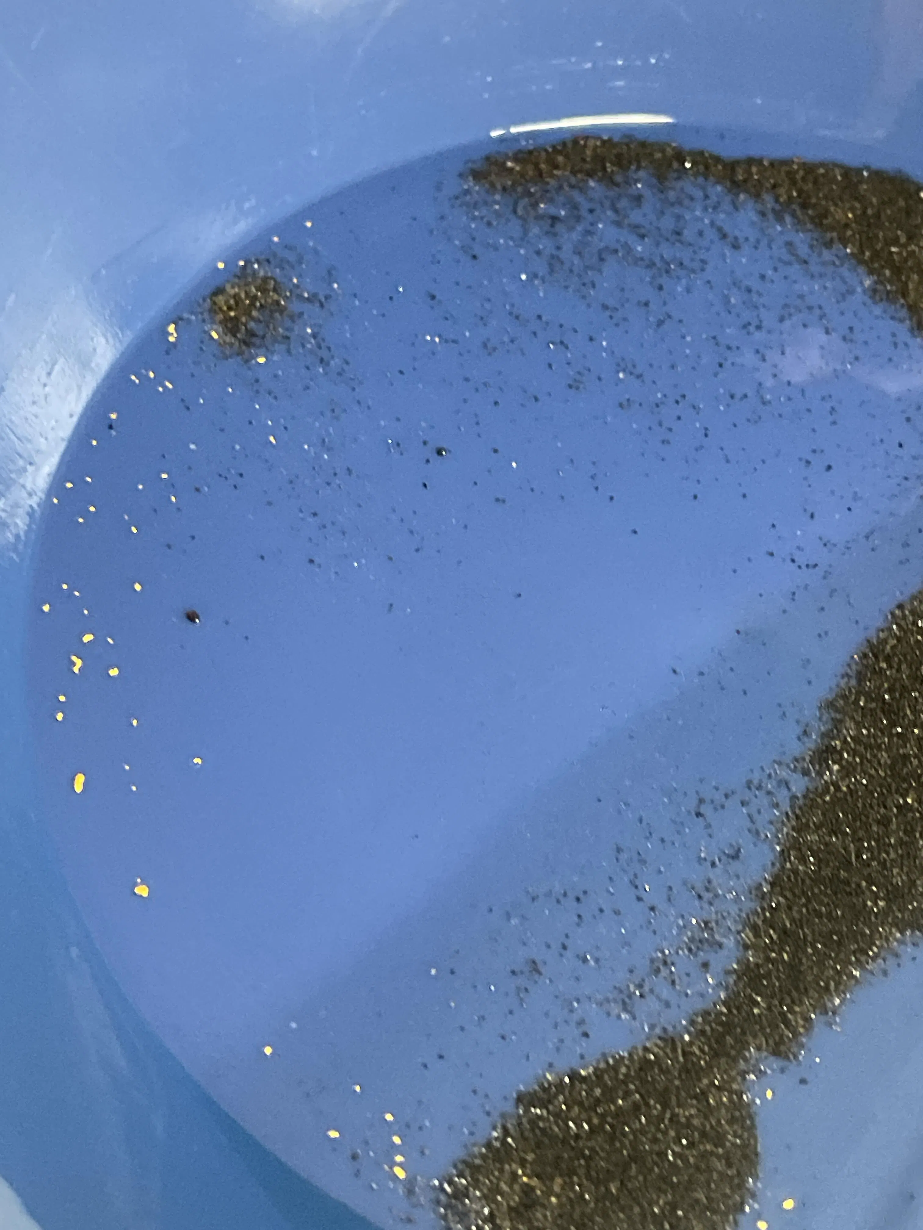 1 Gram Vogus Paydirt – theoldmouldy