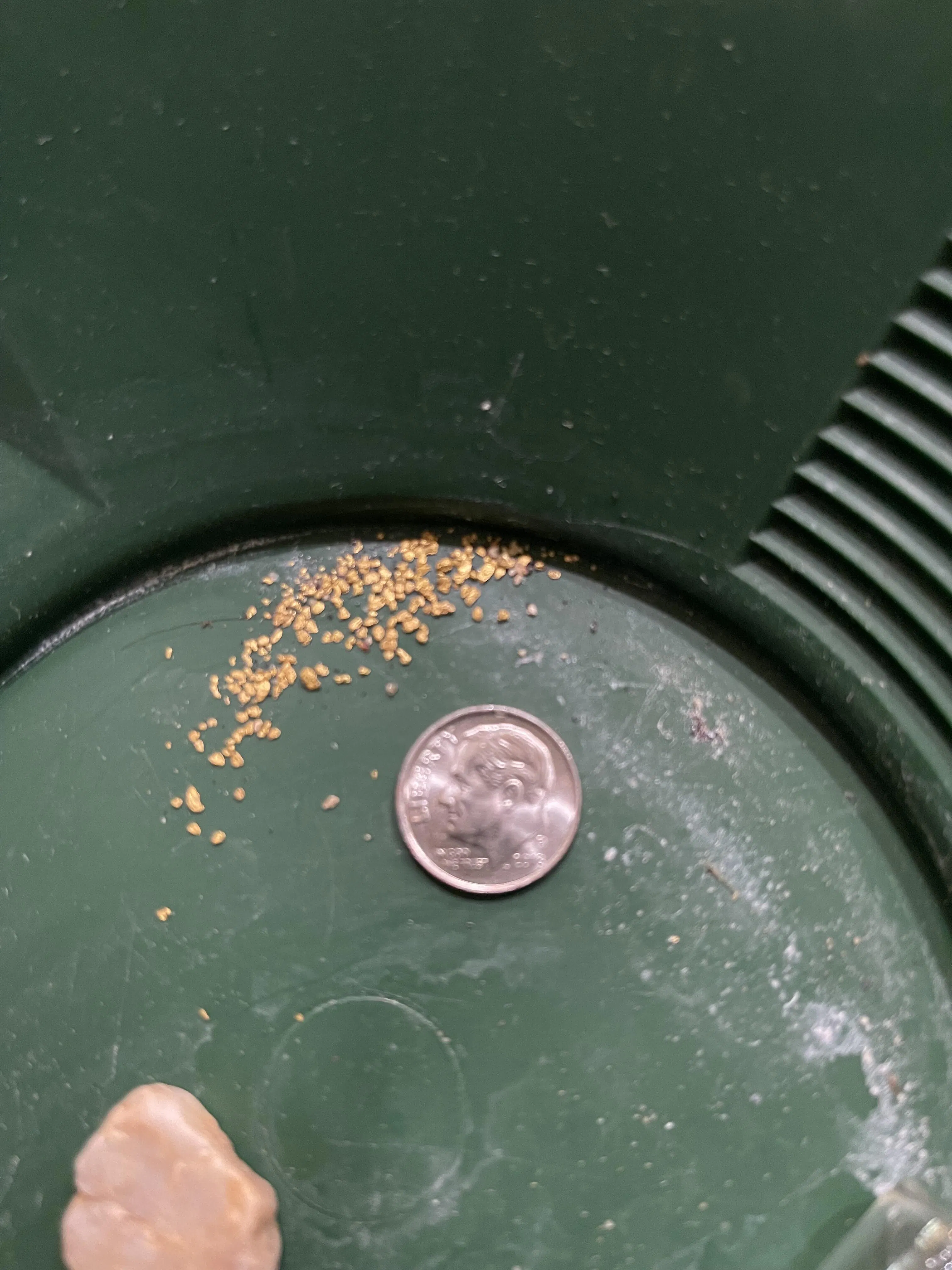 1 Gram Vogus Paydirt – theoldmouldy