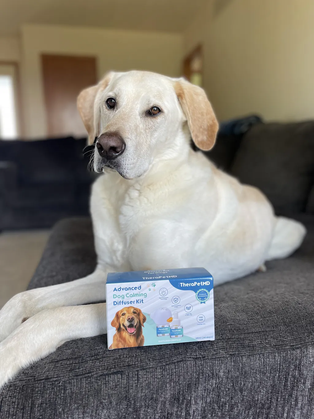 TherapetMD Reviews – TheraPetMD