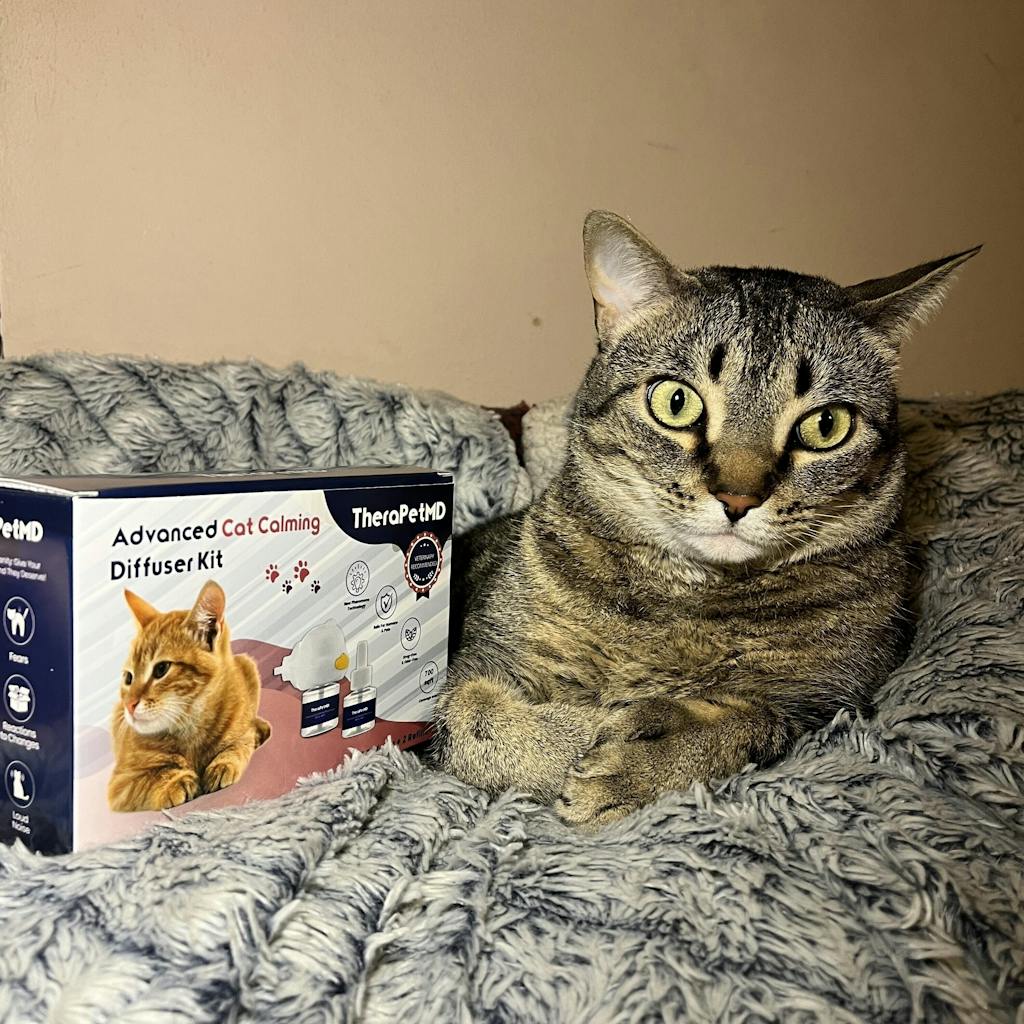 TheraPet Cat Diffuser – TheraPetMD