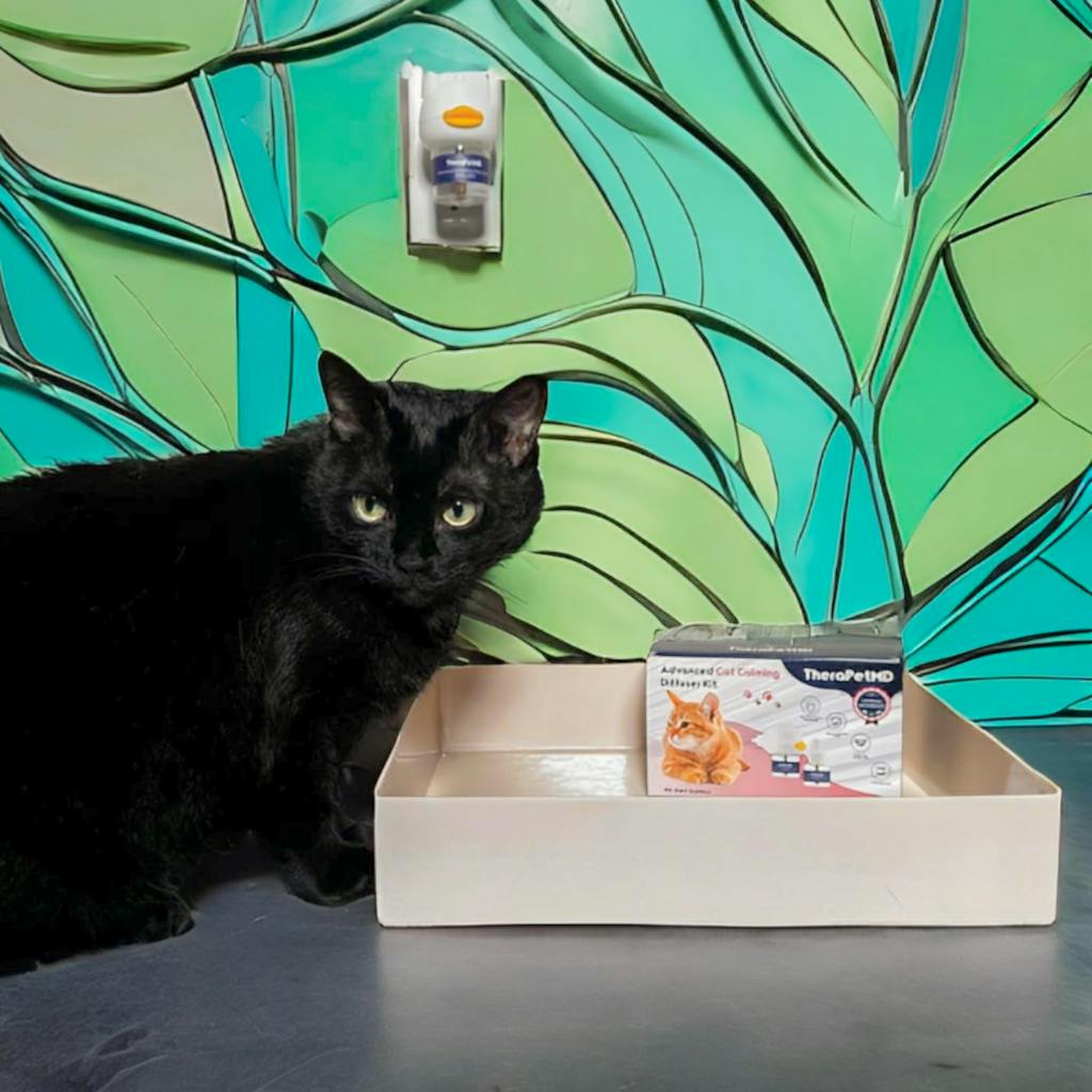 TheraPet Cat Diffuser – TheraPetMD