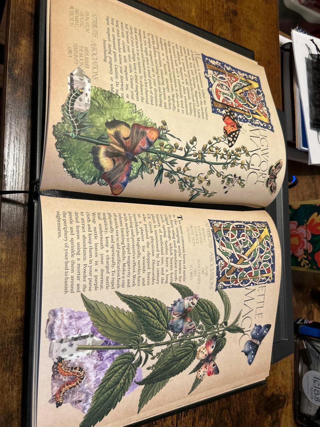 Secret Grimoire of Plant and Crystal Magic | The Witches Circle – TheWitchesCircle