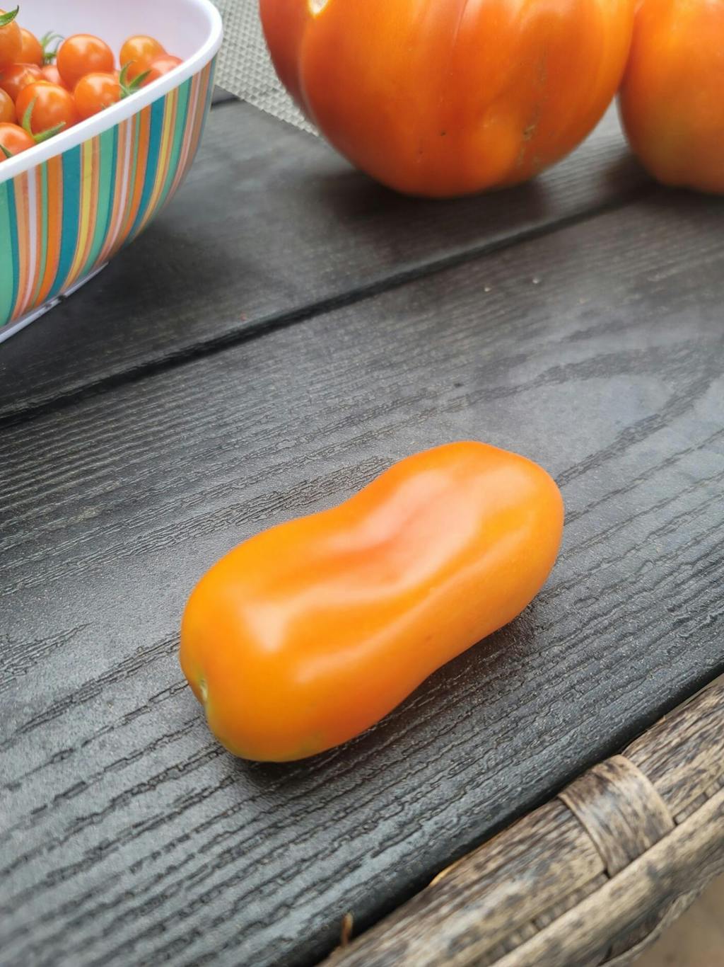 Opalka Paste Tomato - Thresh Seed Co.