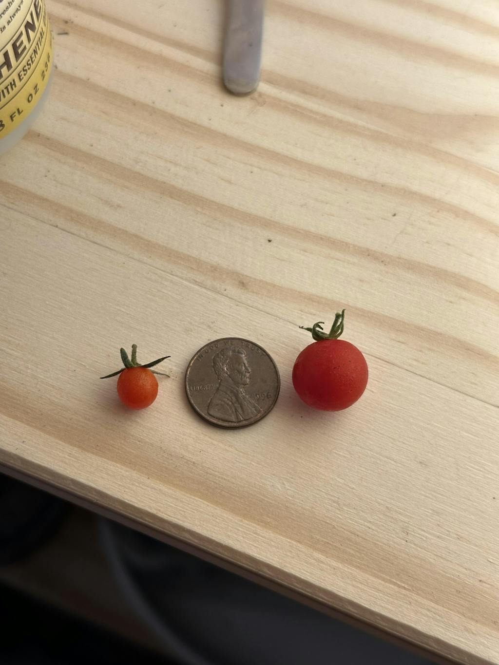 Texas Tiny Cherry Tomato - Thresh Seed Co.