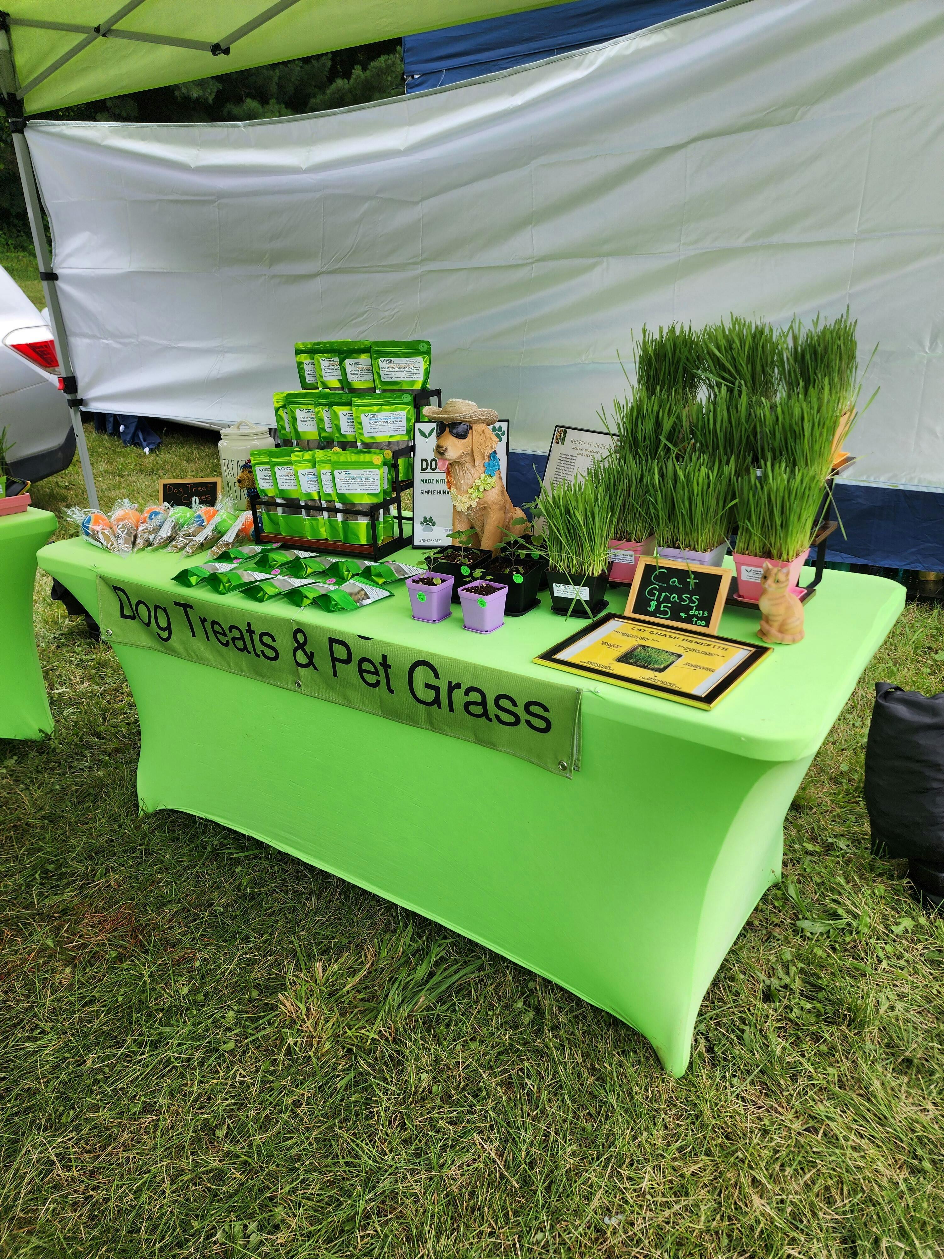 Cat Grass Blend - Non-GMO - Certified Organic - Bonus CAT Toy – Thunder ...