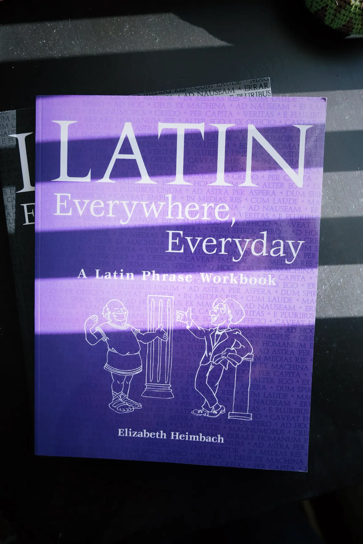 Homeschool supplies - Latin Everywhere, Everyday Teacher Edition ...