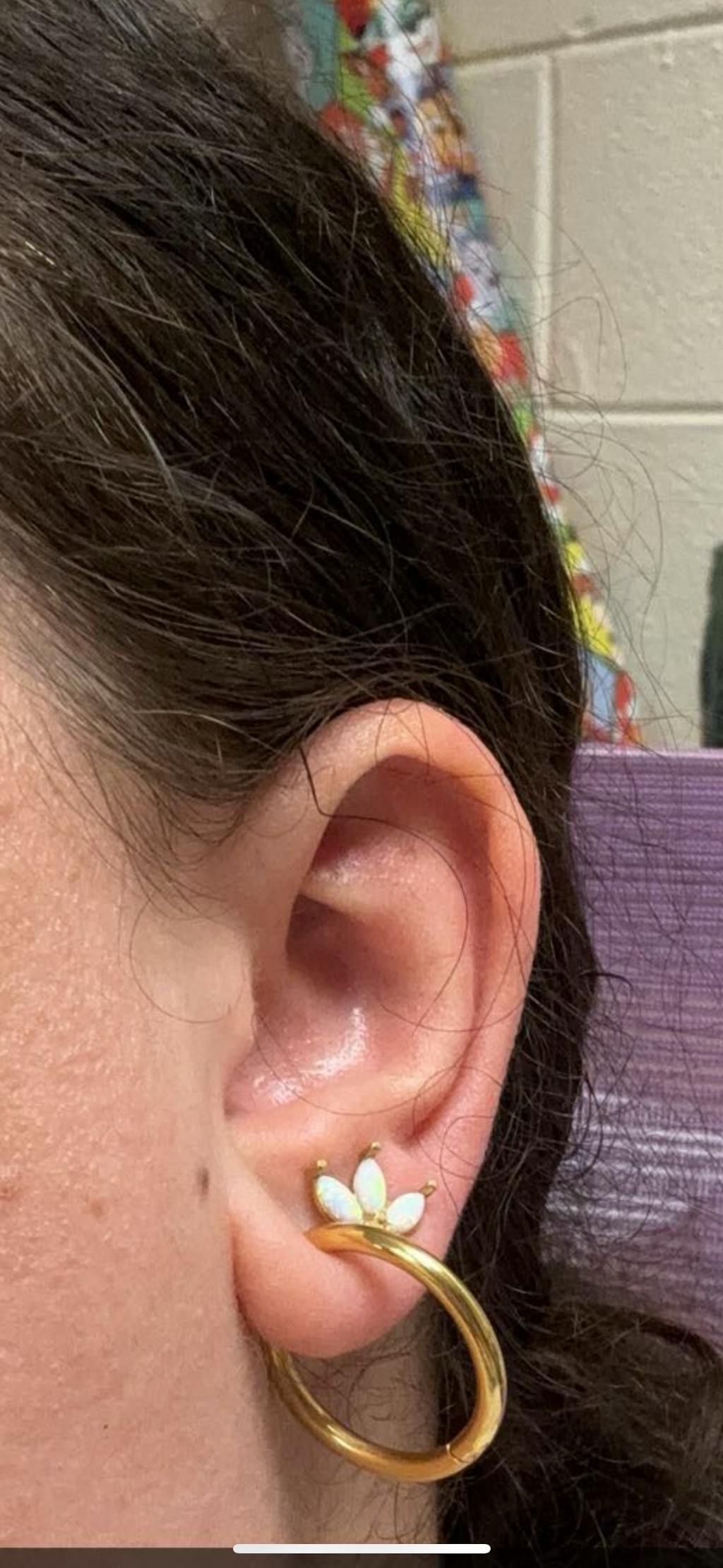 Tini Lux Hypoallergenic Titanium Medium Endless Hoops | Lg Rooftop Hoops