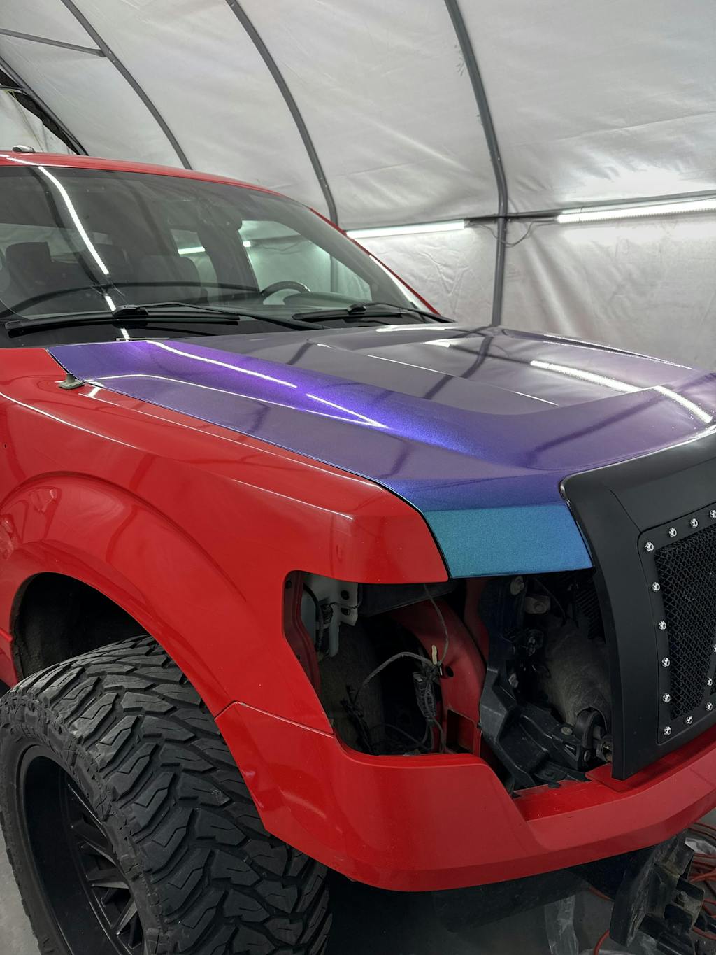 Tinybot Vinyl Canada