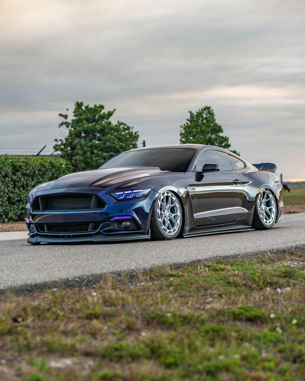 Midnight Venom – tinybotvinyl