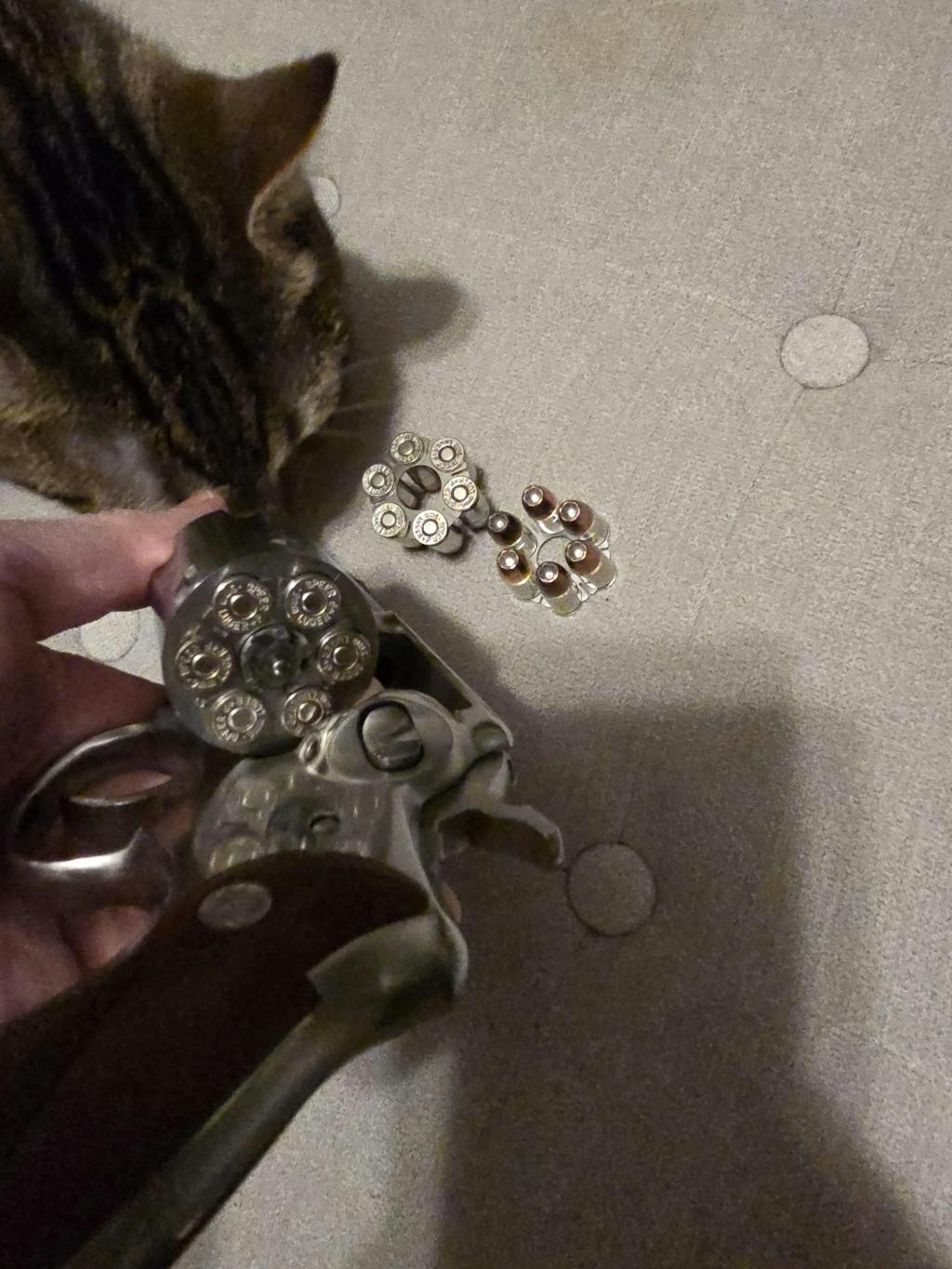 Revolvers & Guns Latest Additions | Shop New Arrivals – TK Custom Store