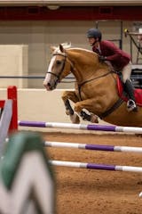 Use Equi-Bone to support healthy bone development. – TLC Animal ...