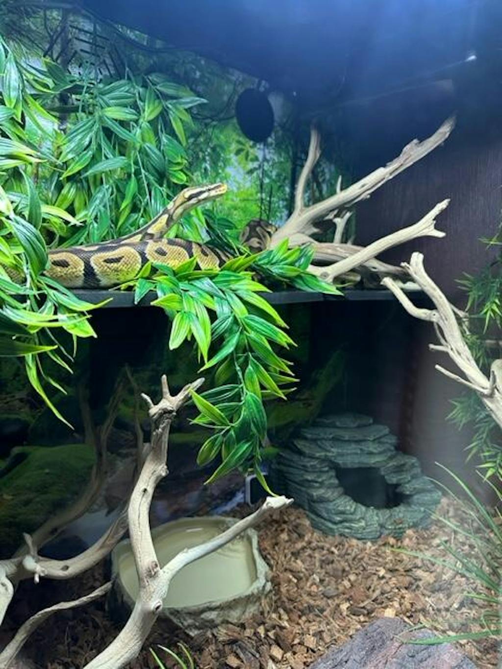 4'x2'x3' | Custom HDPE-PVC Reptile Enclosure | Luxury Reptile Cage ...