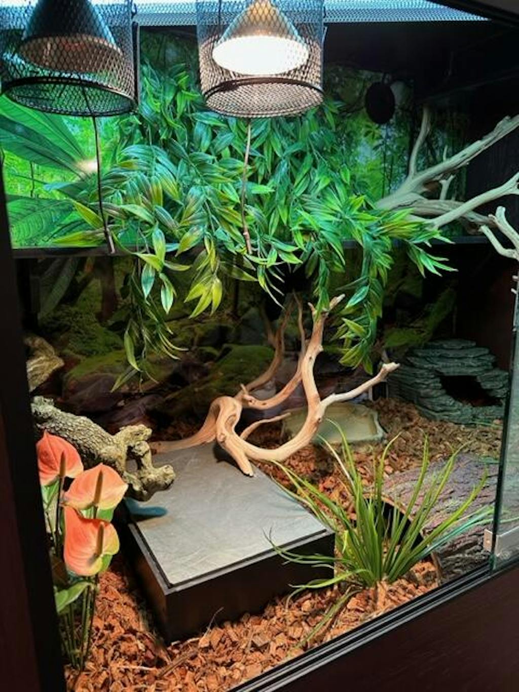 4'x2'x3' | Custom HDPE-PVC Reptile Enclosure | Luxury Reptile Cage ...