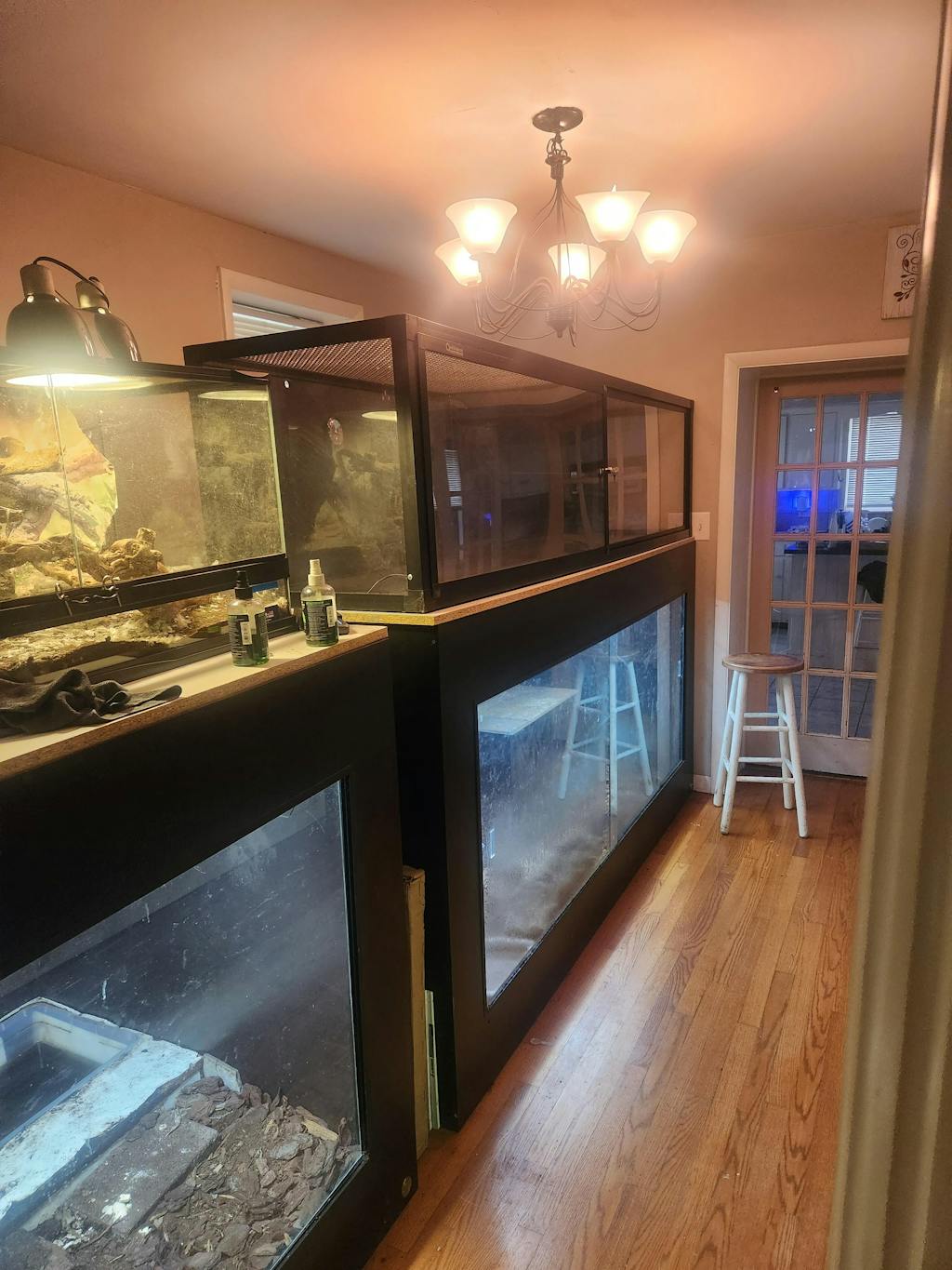 s-TEGU-saurus Sanctuary 8'x4'x4' Reptile Enclosure ToadRanchCages.com ...