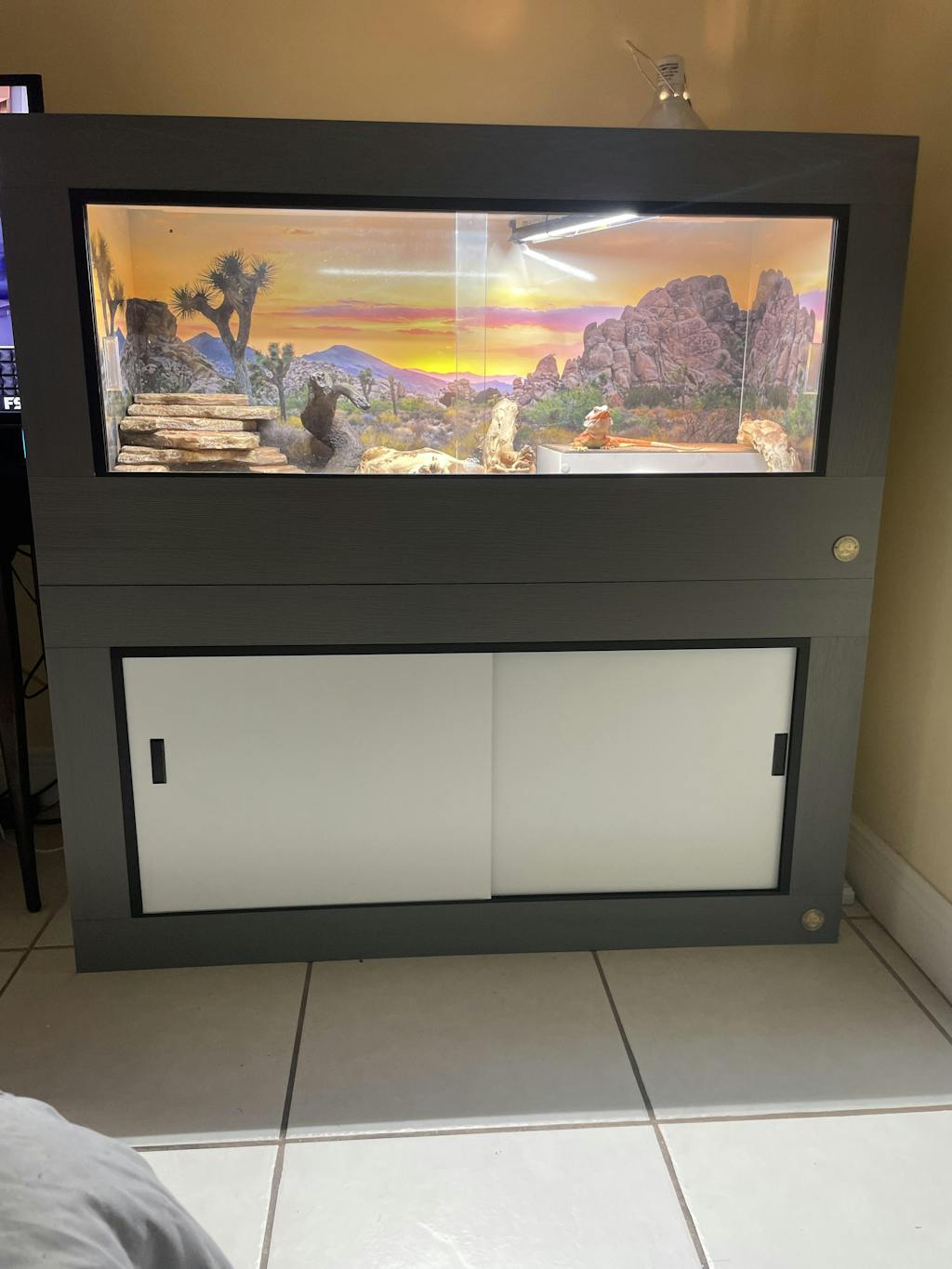 4x2xH' Cabinet Stand | Reptile Enclosure Stand – Toad Ranch