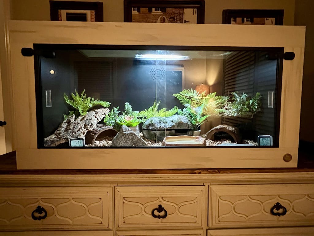 BC48 | 4'x2'x2' | Premium HDPE & PVC Reptile Enclosure | 4 Foot Luxury ...